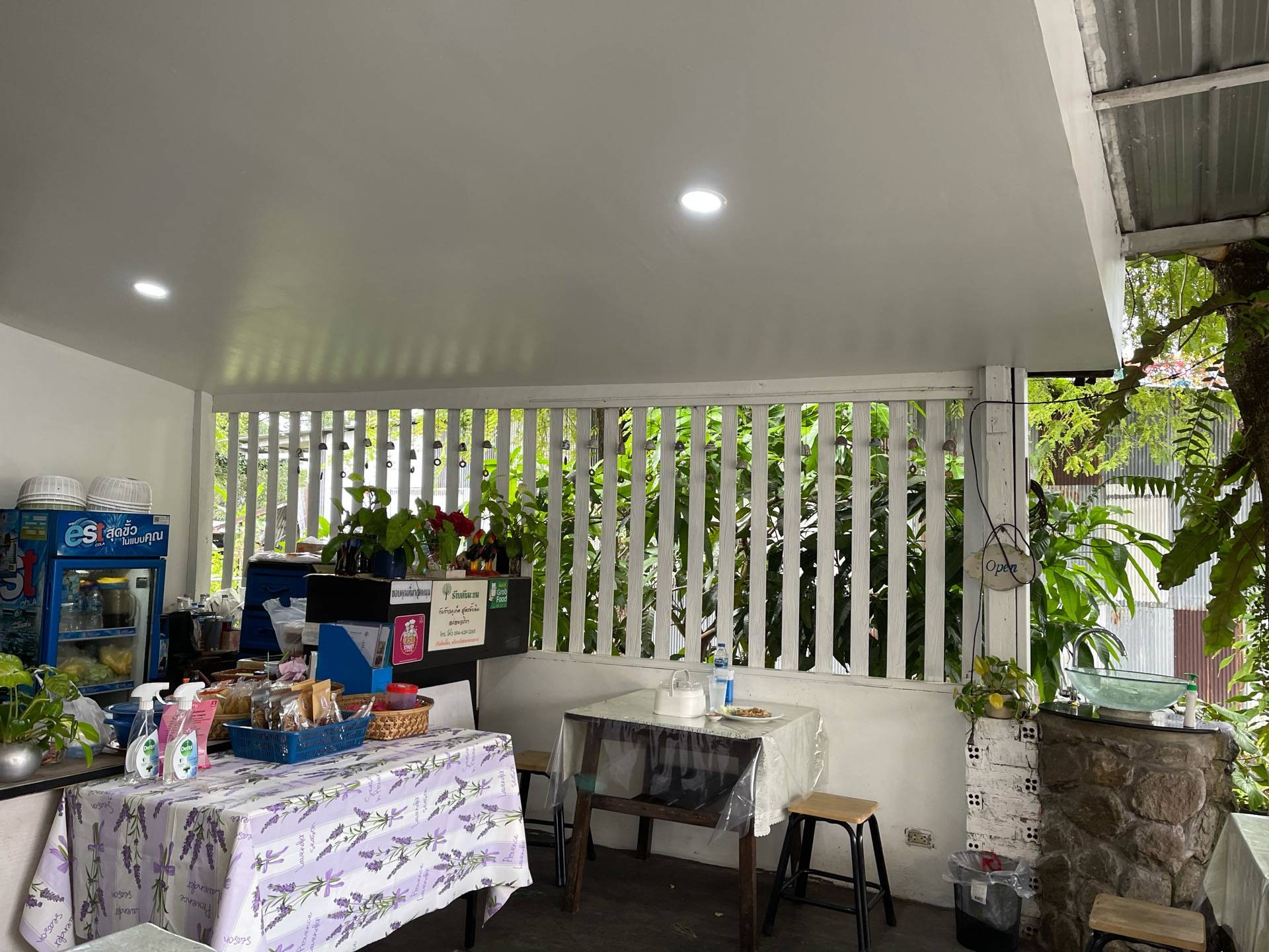 รูป ต้นมะยม