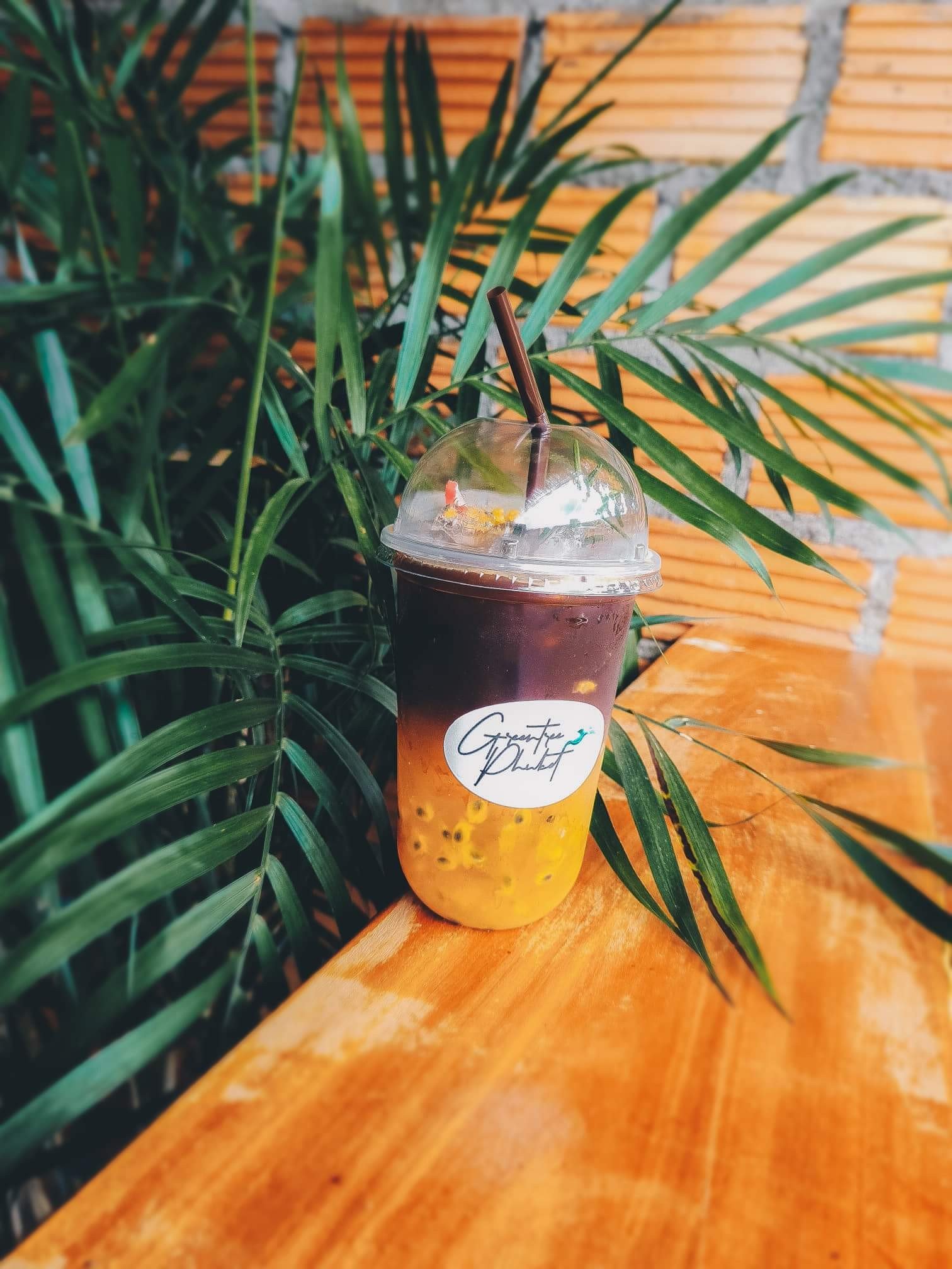 ร้าน Green Tree Cafe Phuket | รีวิวร้านอาหาร