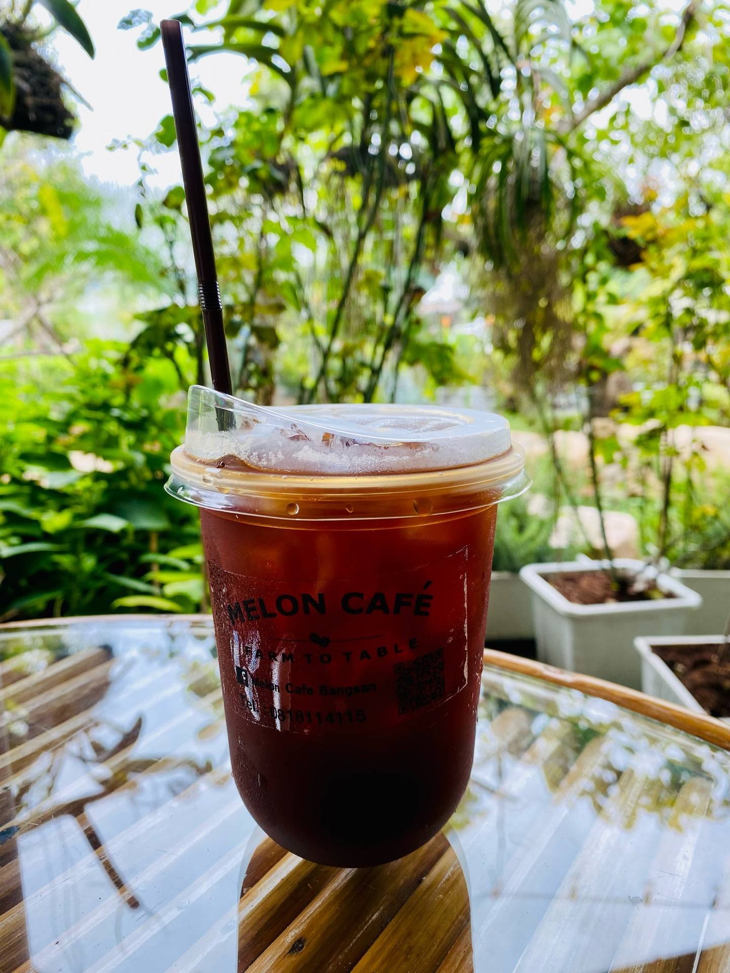 Americano ร้าน Melon Cafe Melon JJ Farm - Wongnai