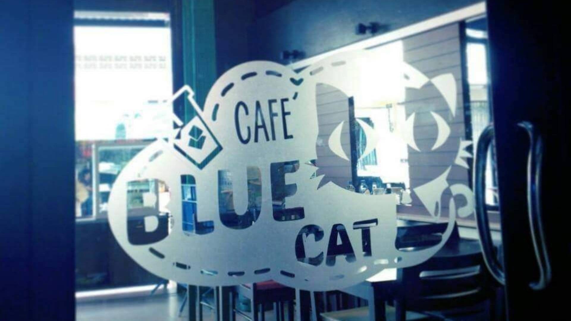 [รีวิว] ร้าน Blue Cat Cafe | เมนูแนะนำ รูปภาพ ราคา