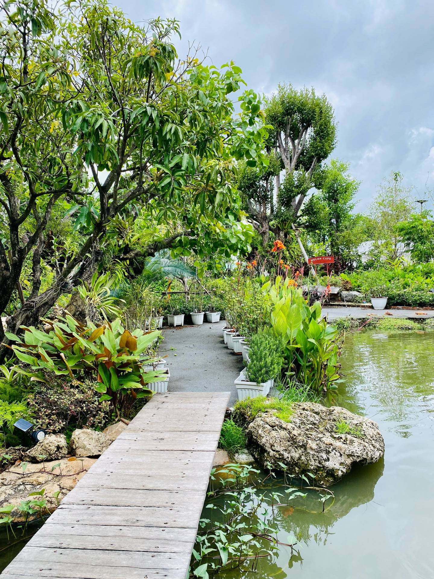 รูป Melon Cafe Melon JJ Farm