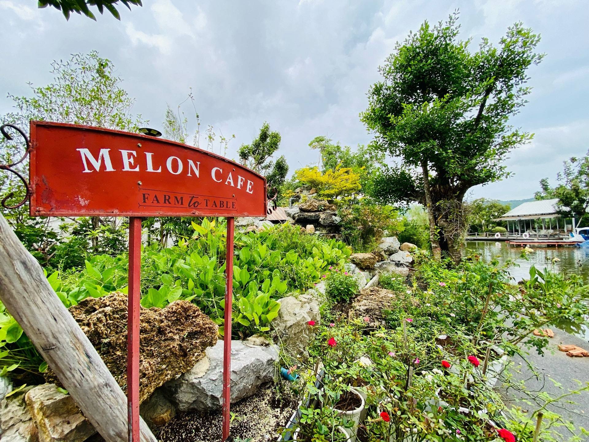 รูป Melon Cafe Melon JJ Farm - Wongnai