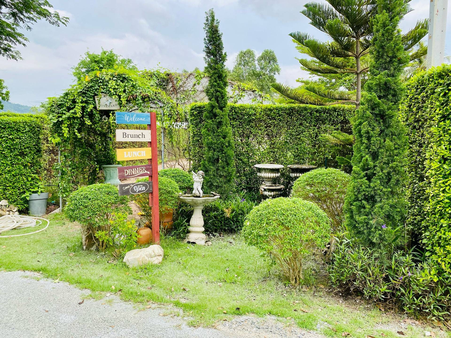 รูป Melon Cafe Melon JJ Farm