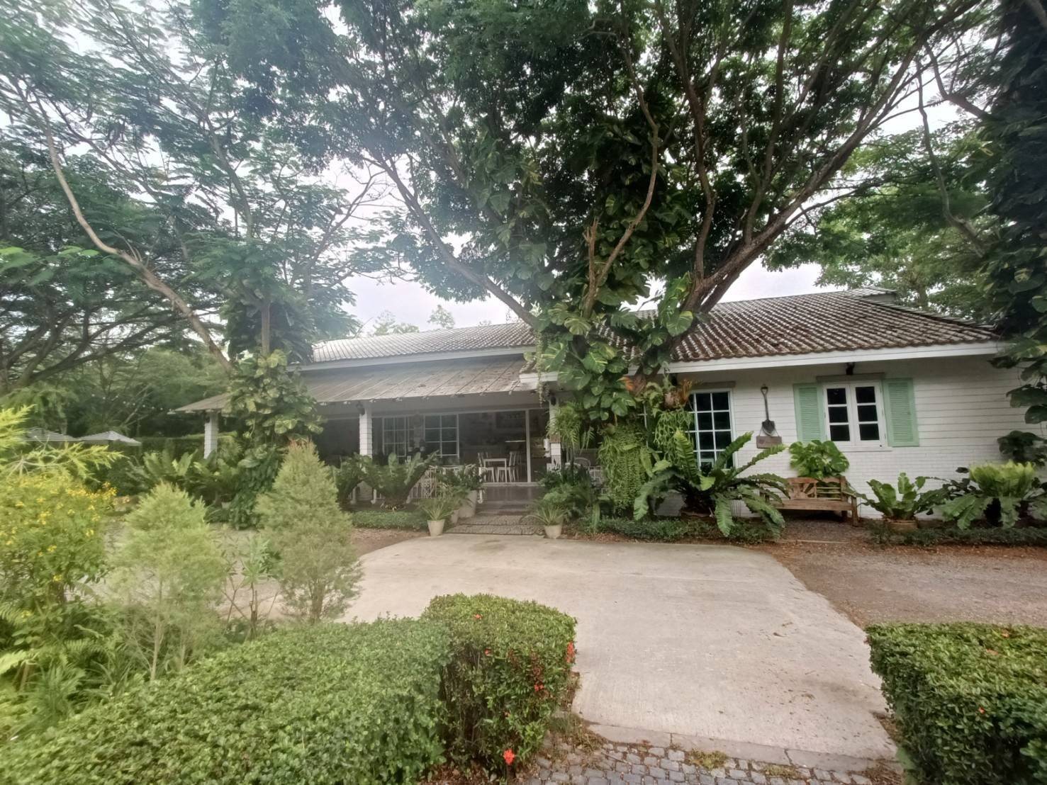 รูป Tree House Cafe & Restaurant