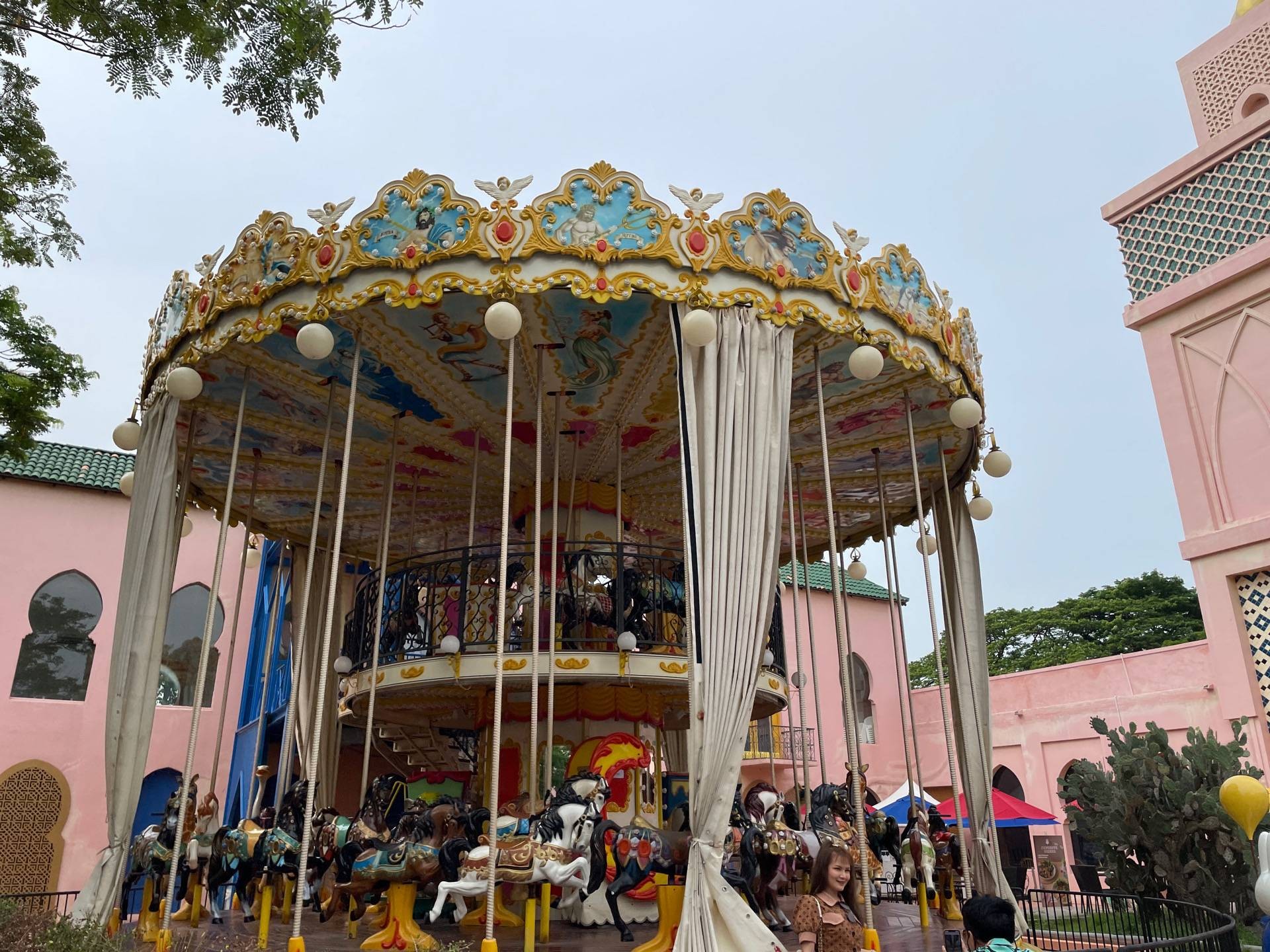 รูป Camel Republic