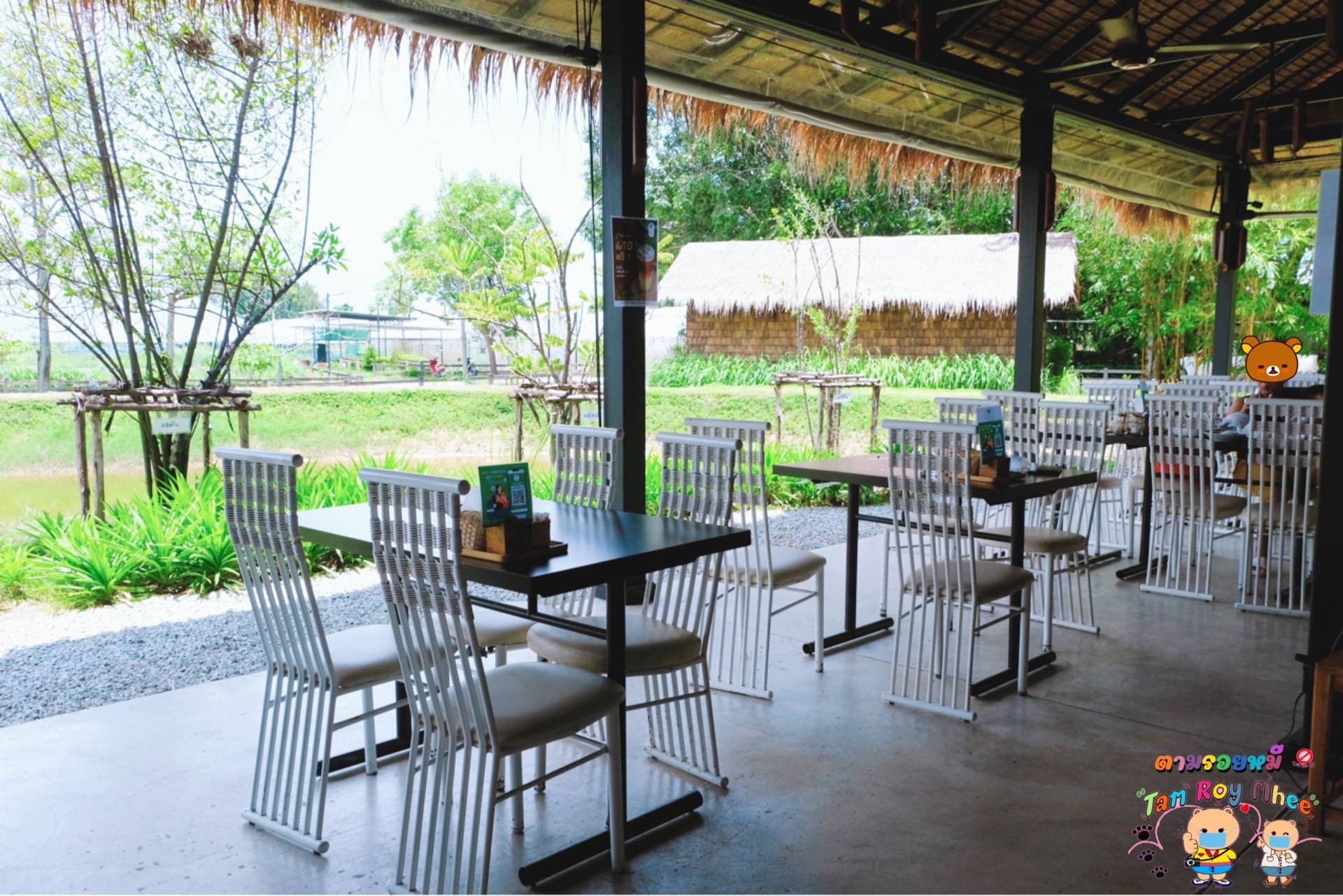 รูป หน้าต่างเขียว