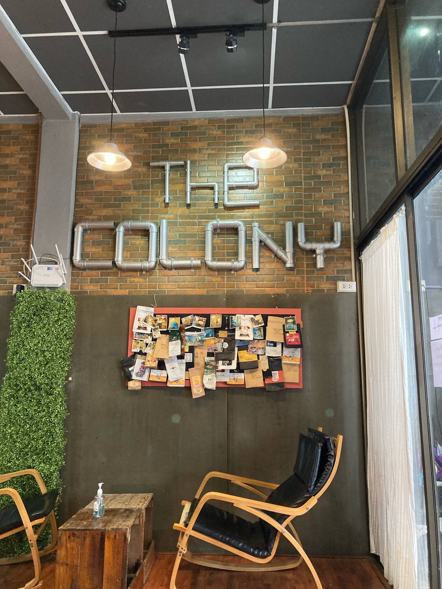 รีวิว The COLONY Cafe est.2011 หาดใหญ่ - คาเฟ่แมวครับทุกท่าน