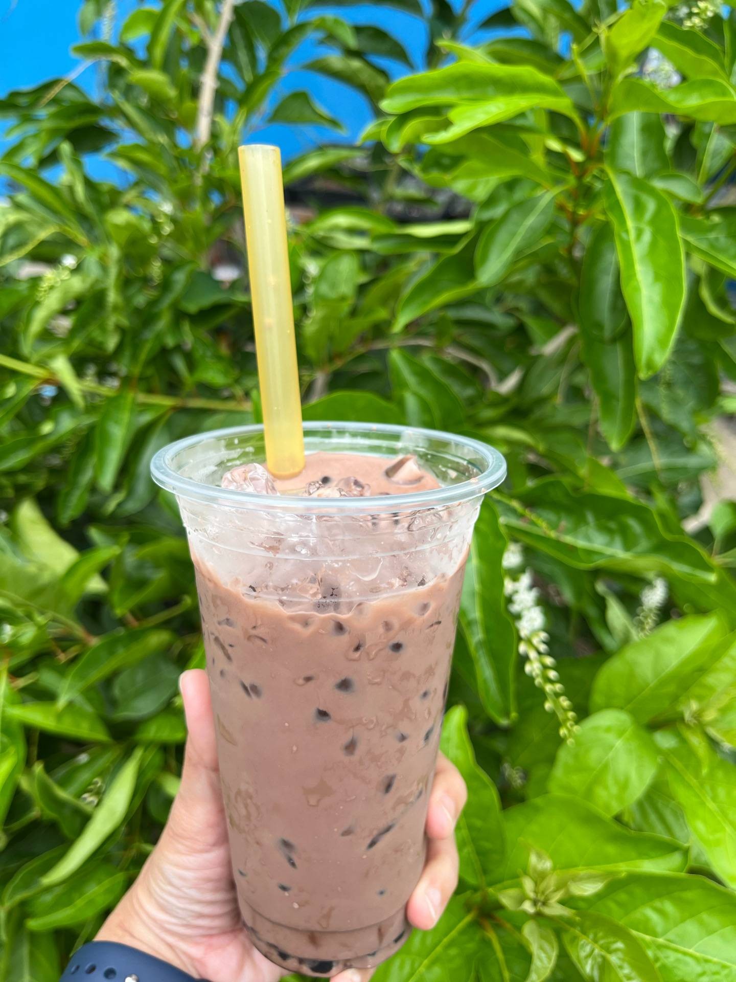 รีวิว 689 MilkTea.Cafe กระทุ่มแบน - โกโก้ใส่ไข่มุก อร่อยมากค่ะ :)