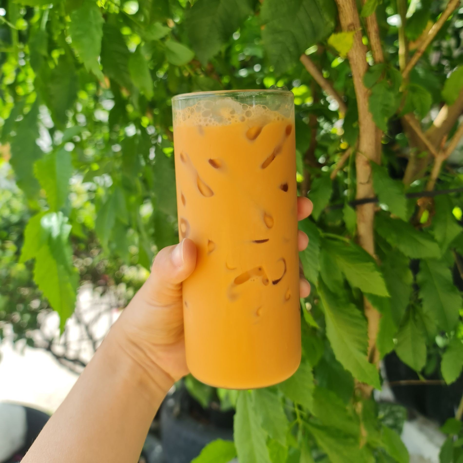 ร้าน Kin-Fae(กิน-แฟ) | รีวิวร้านอาหาร