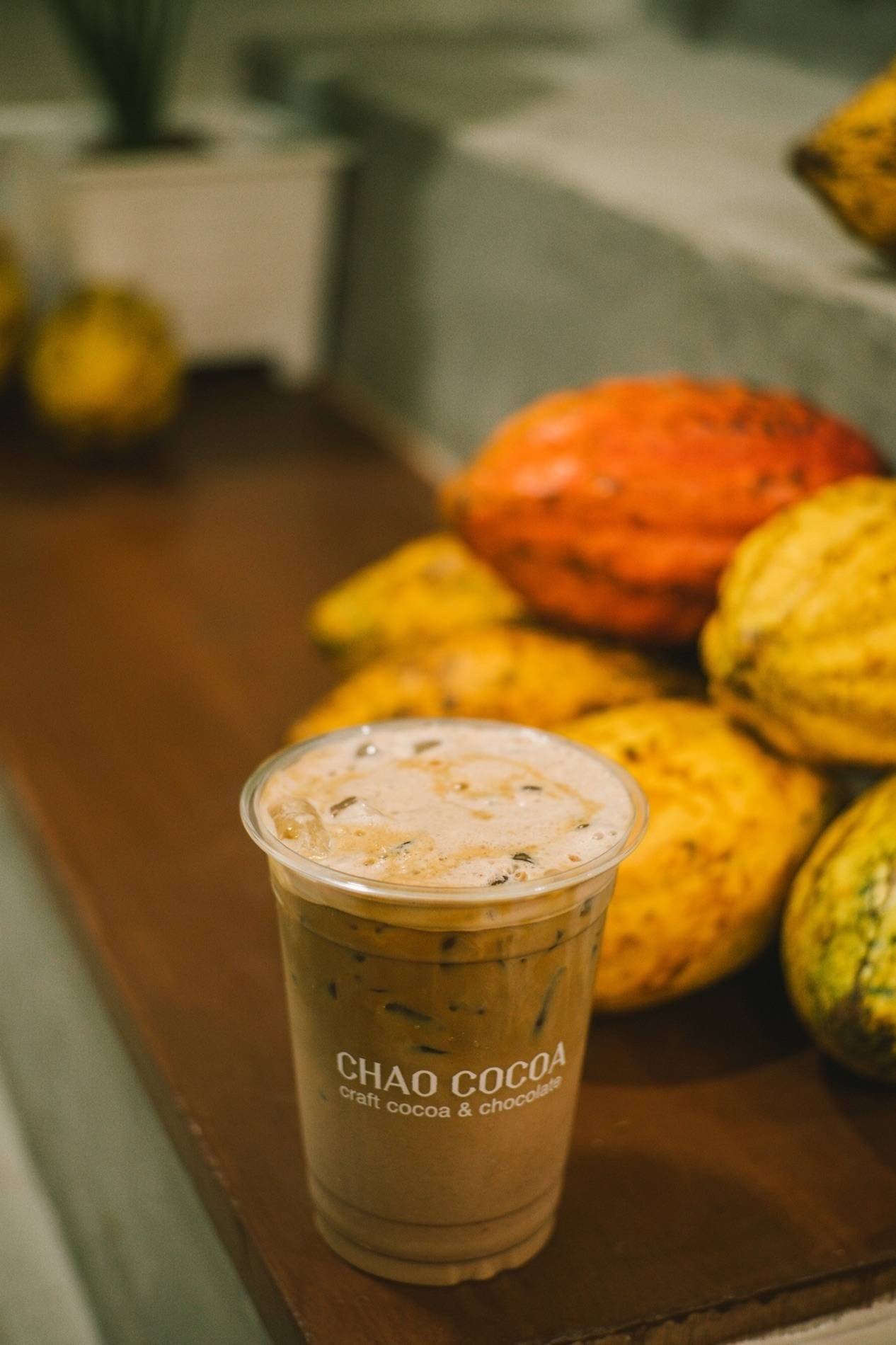 รูป Chao Cocoa : ชาวโกโก้