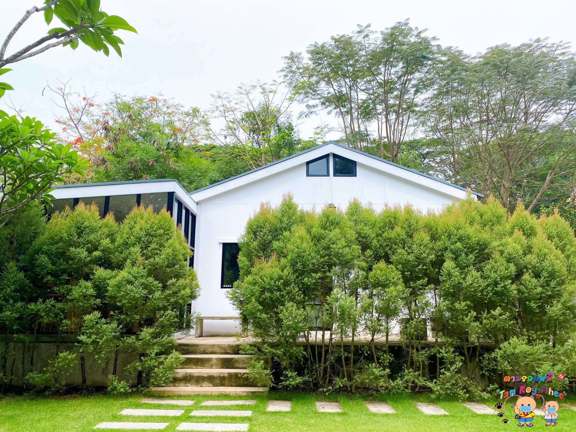 รีวิว Potta - อีก 1 คาเฟ่ที่ห้ามพลาด หากมาราชบุรี ร้านสวย กาแฟดี dirty ...