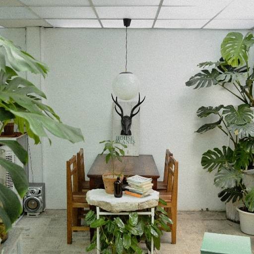 ร้าน Yonma.HousePlants And Friends | รีวิวร้านอาหาร
