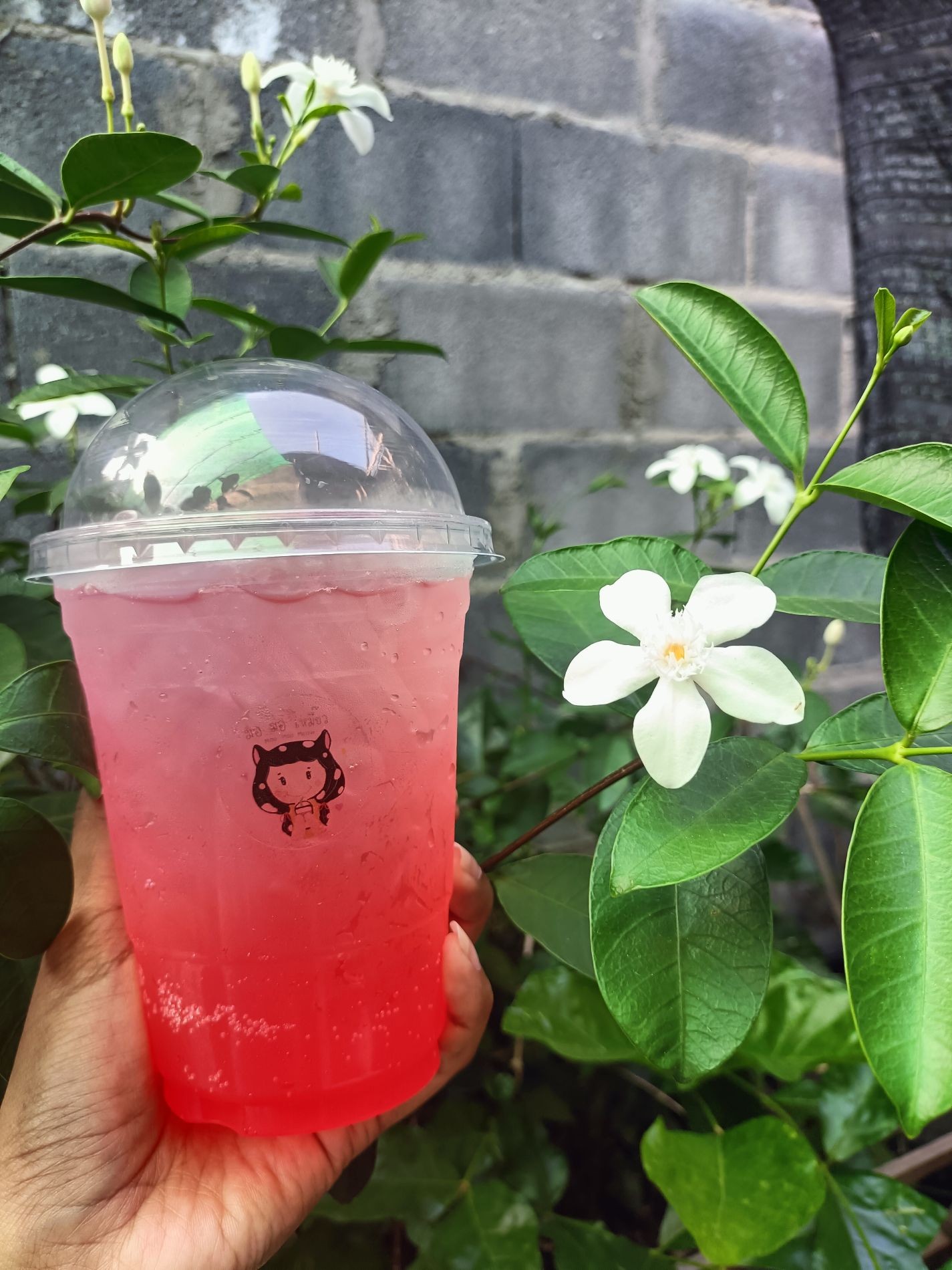 น้ำพั้นซ์โซดา • image ร้าน Moo Moo Meow มอ มอ เมี๊ยว ขนมปังปิ้ง คลองขวาง