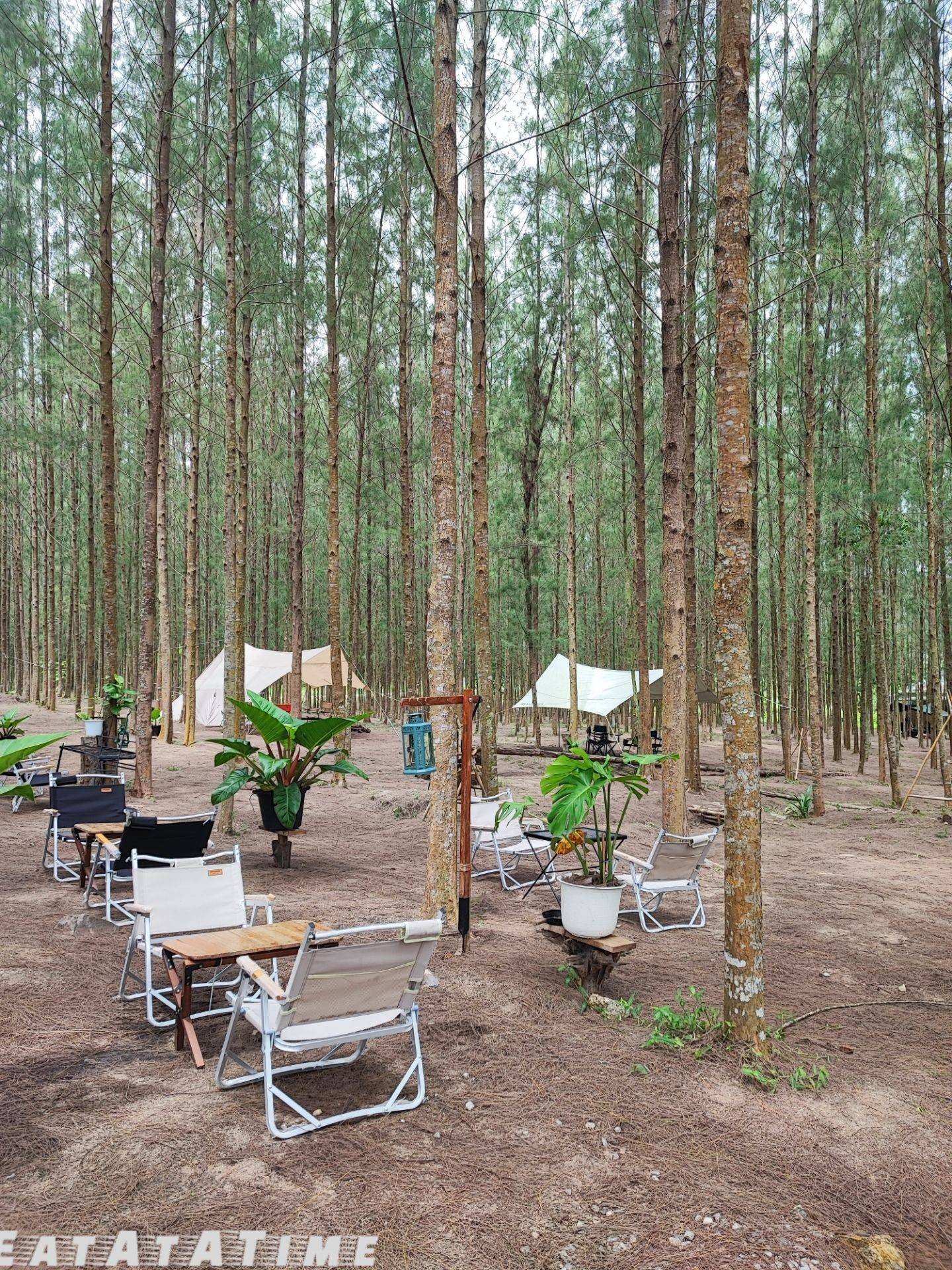 รูป Phupha Coffee Camp บ้านคา ราชบุรี