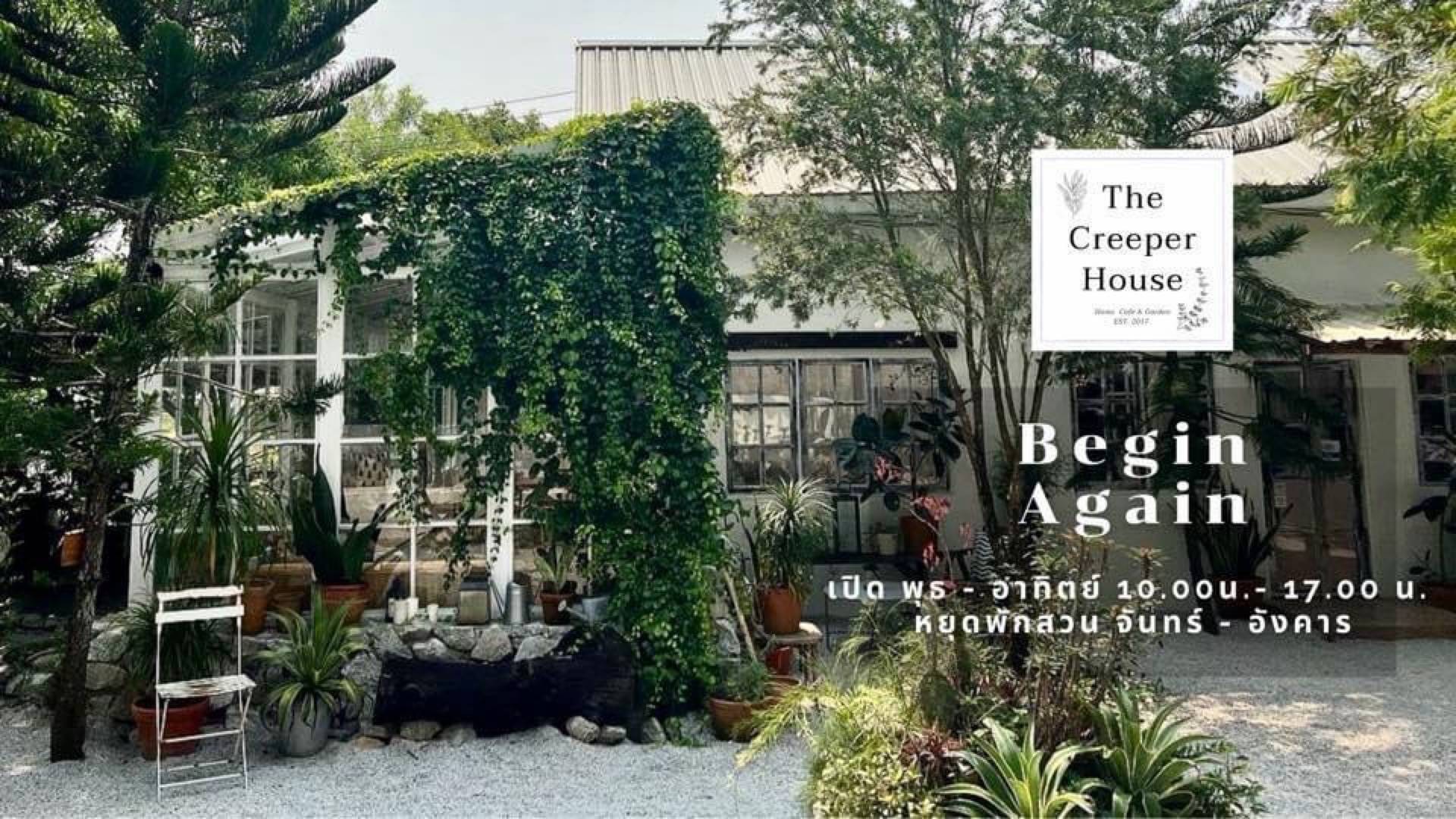 [รีวิว] ร้าน THE CREEPER HOUSE ( เดอะครีเปอร์เฮาส์ ) | เมนูแนะนำ รูปภาพ ...