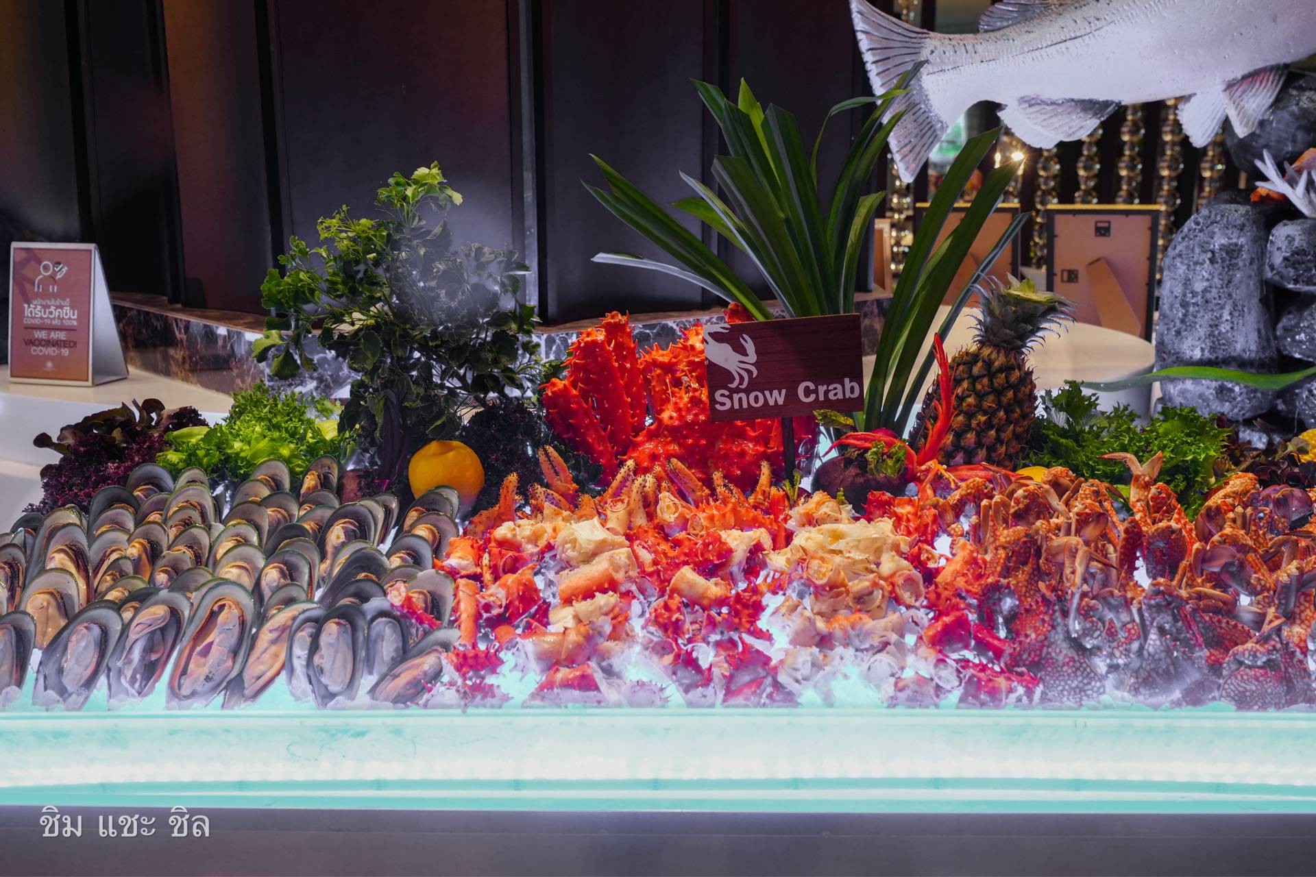 รูป The Berkeley Dining Room เดอะพาลาเดียมเวิลด์ช็อปปิ้ง