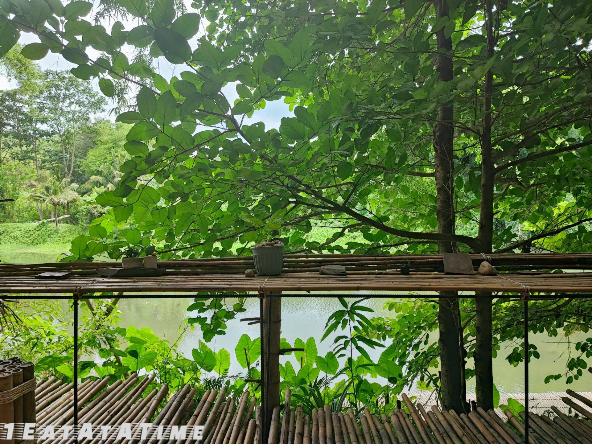 รูป Sloth Caffe Slowbar