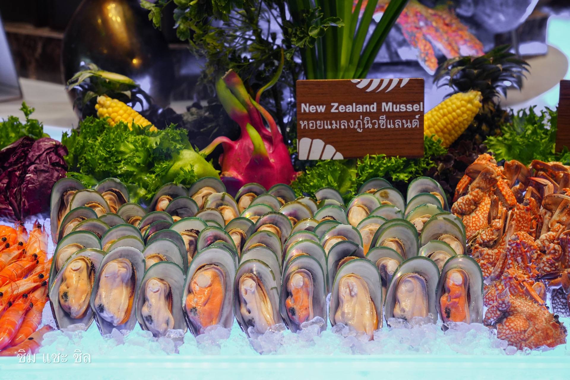 รูป The Berkeley Dining Room เดอะพาลาเดียมเวิลด์ช็อปปิ้ง - Wongnai