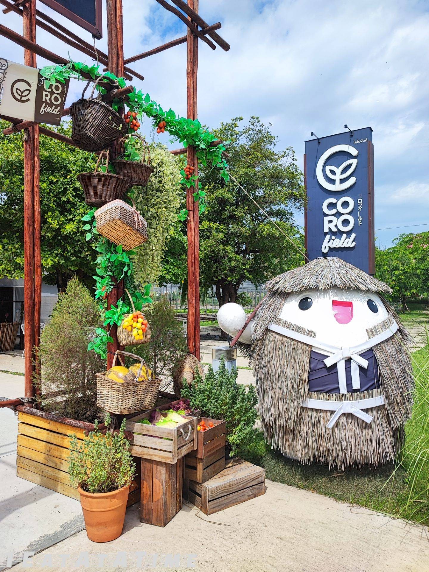 รีวิว CORO FIELD - แวะที่นี่เมื่อคิดถึงมันม่วงซอฟต์เสิร์ฟ