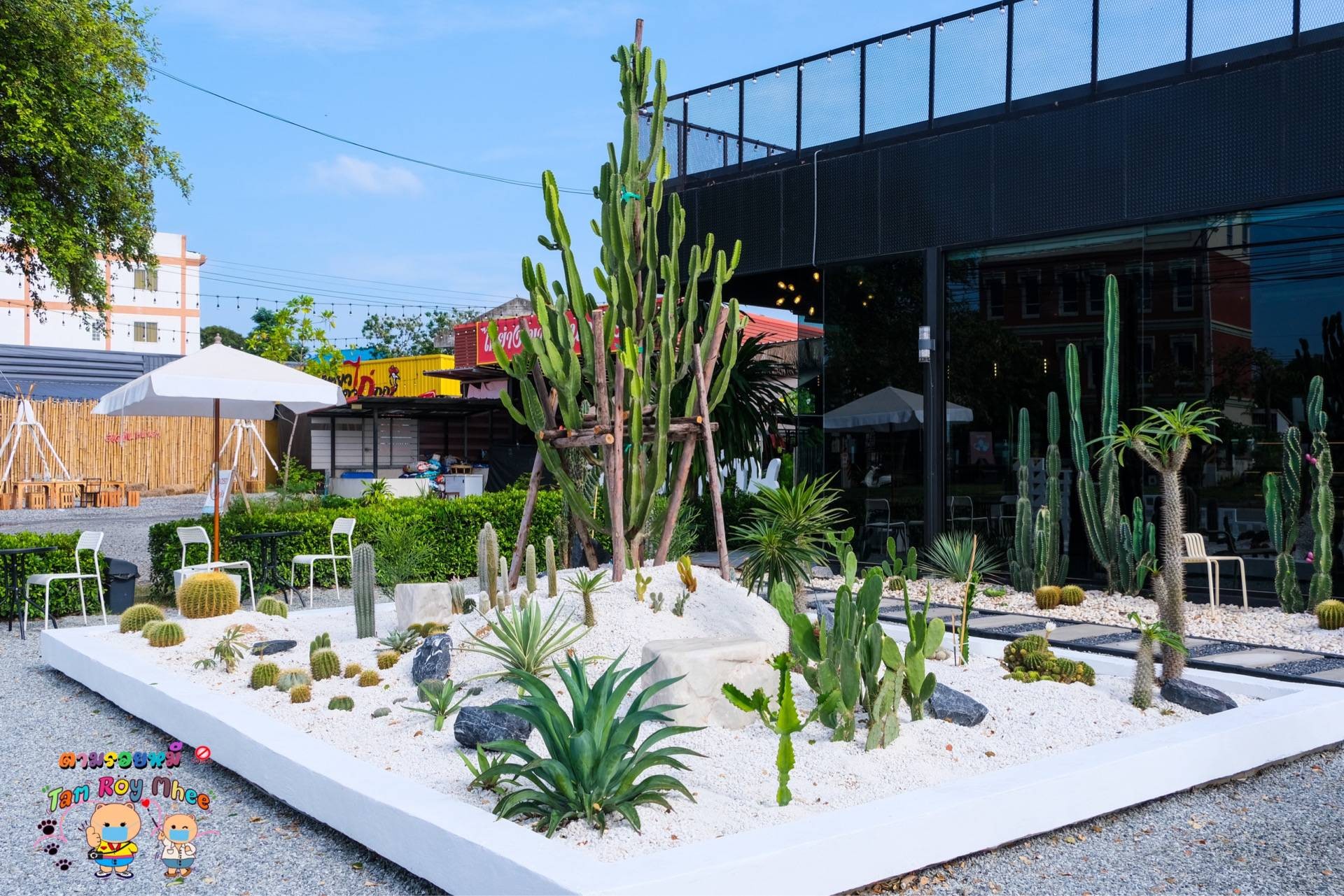 รูป Chapter Koff Chonburi