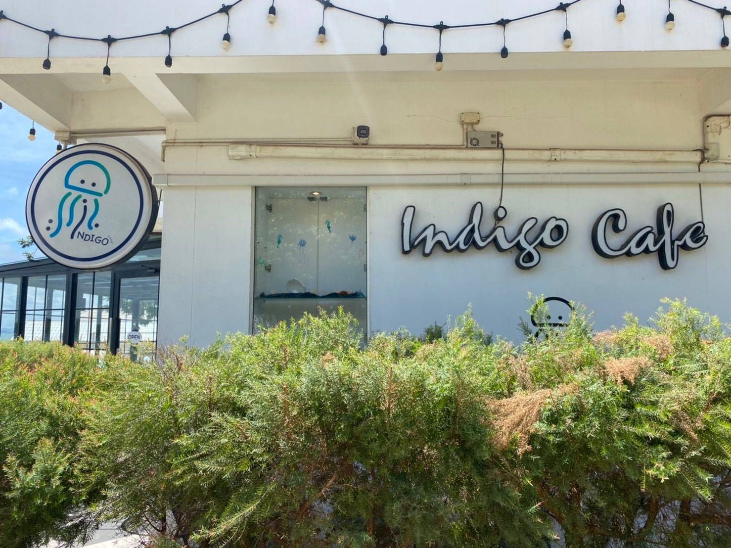 รีวิว Indigo Cafe - ร้านน่ารัก บรรยากาศดี