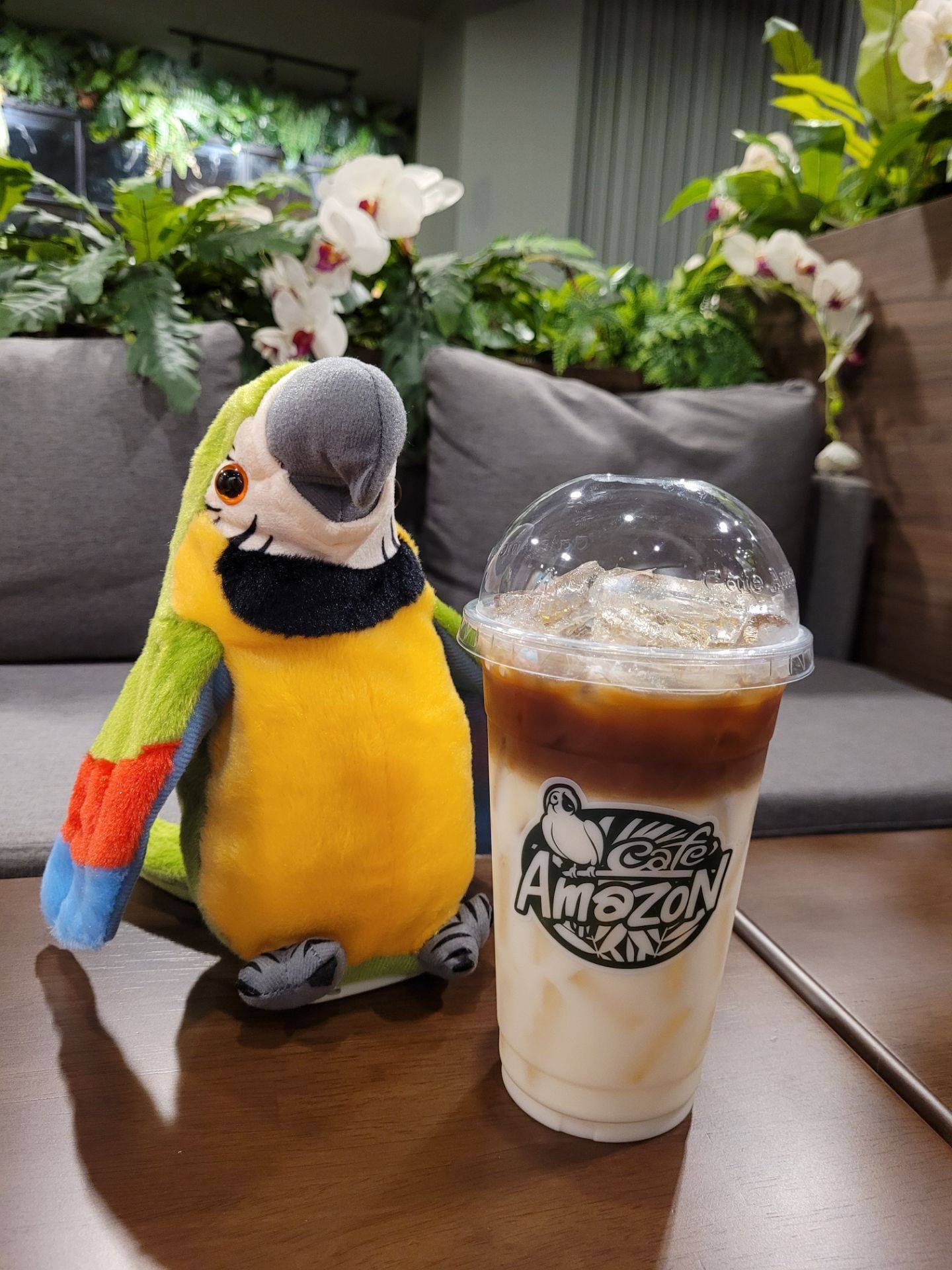 Ice Coffee Coconut Milk ร้าน Café Amazon - SD3484 ท่าข้าม 7 - Wongnai