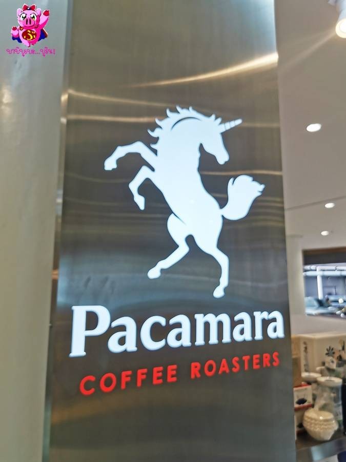 รีวิว PACAMARA เซ็นทรัล พระราม2 - Pacamara เปิดสาขาในห้างแถวบ้านแล้ว เข้าถึงง่ายขึ้นเยอะ