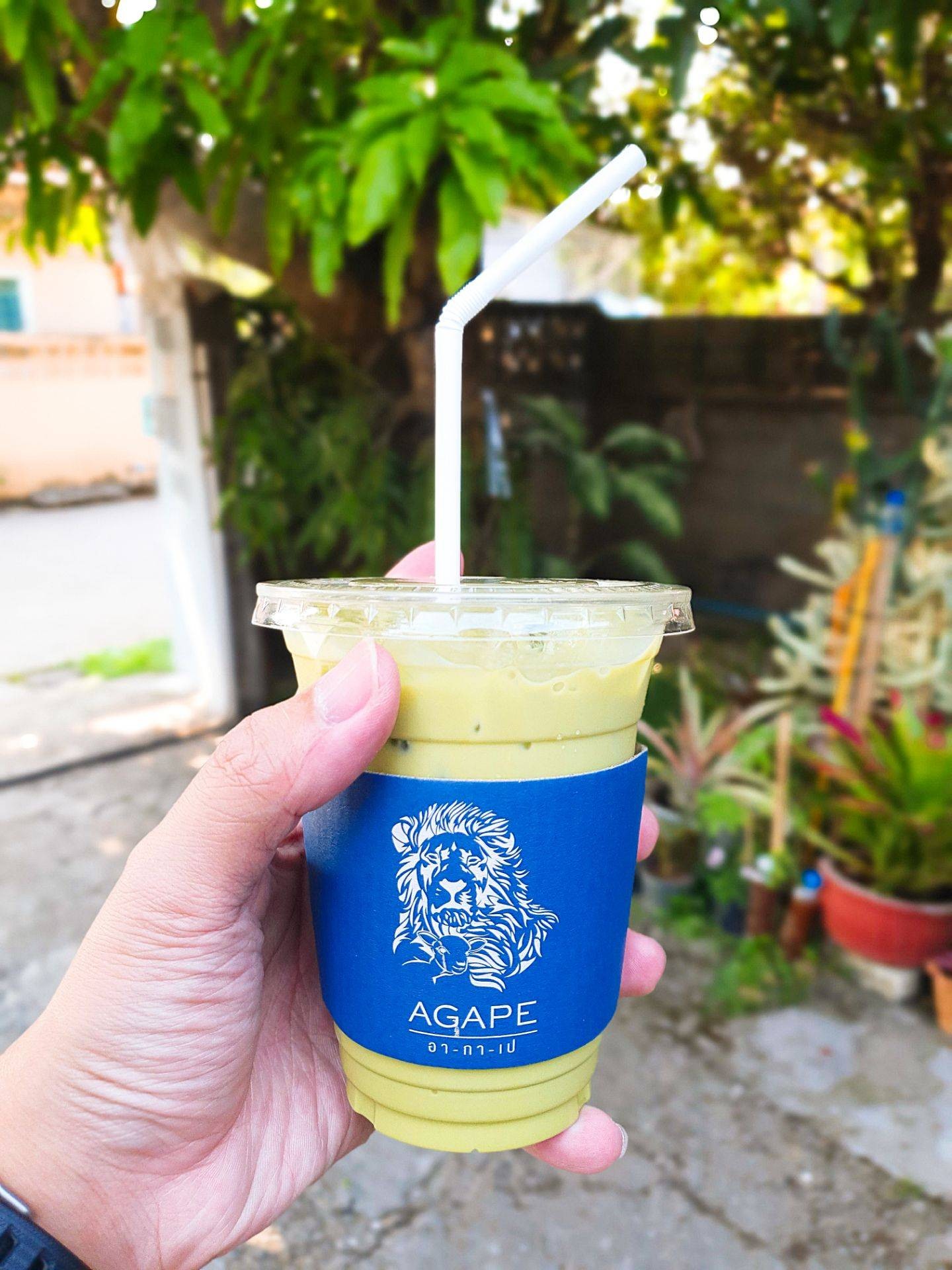 รีวิว Agape Coffee - Lineman ส่งถึงบ้าน 🏡 - Wongnai