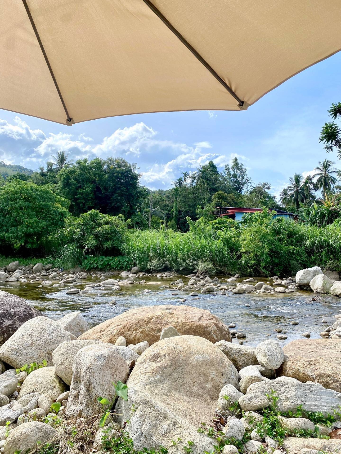 รูป พรหมโลก แคมป์ไซต์ คาเฟ่ @Promlok Campsite Cafe