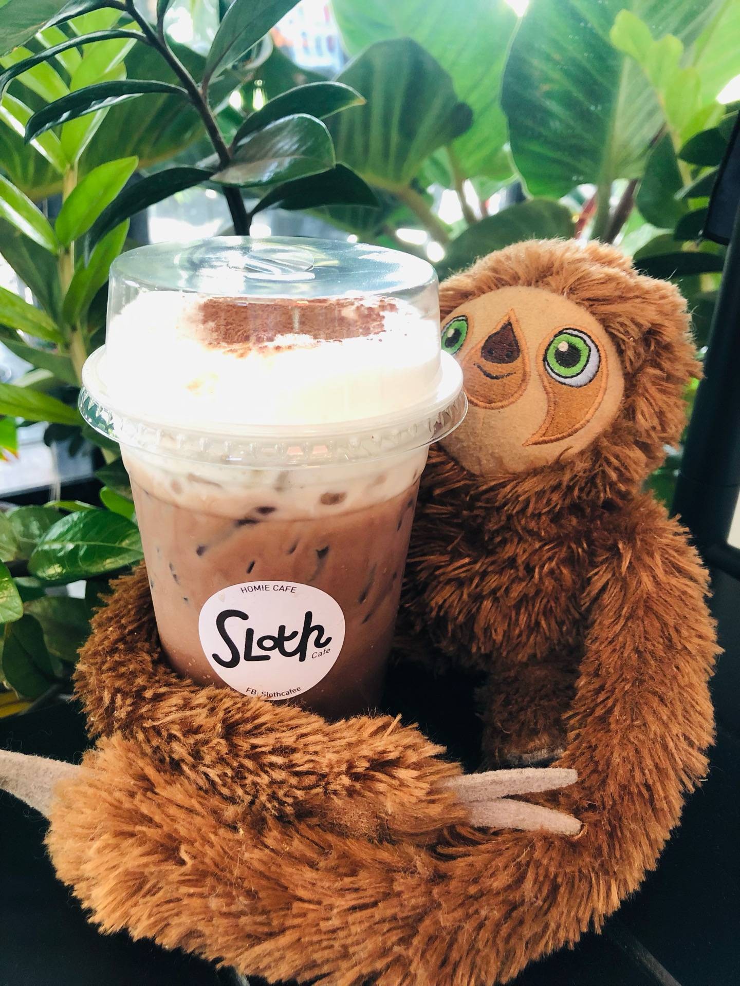 รีวิว SLOTH CAFE (สล็อต คาเฟ่) สัมมากร รามคำแหง112 - ร้านน่ารัก โกโก้รสดี🍫🥛