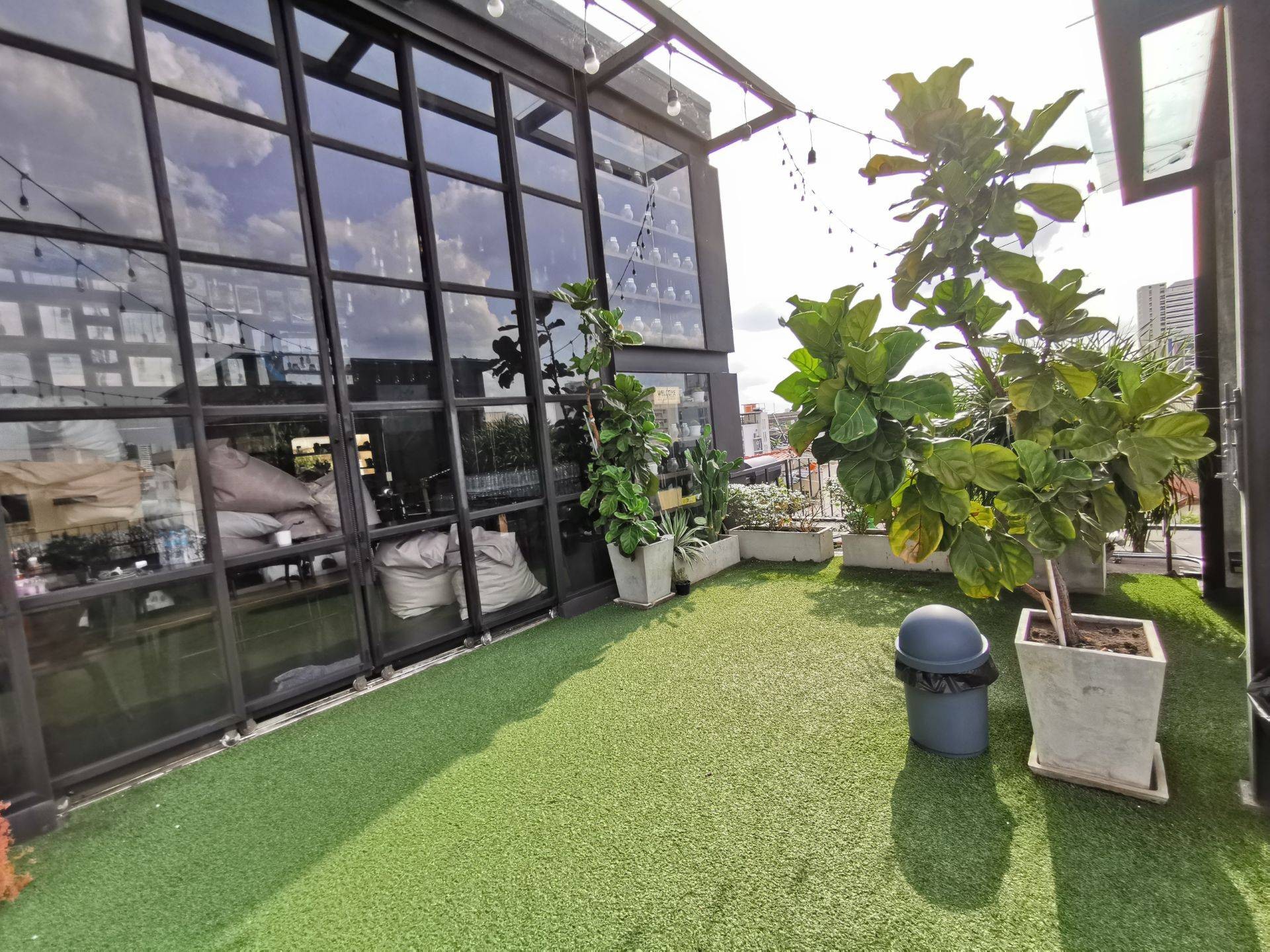 รูป The LOCAL - Ari