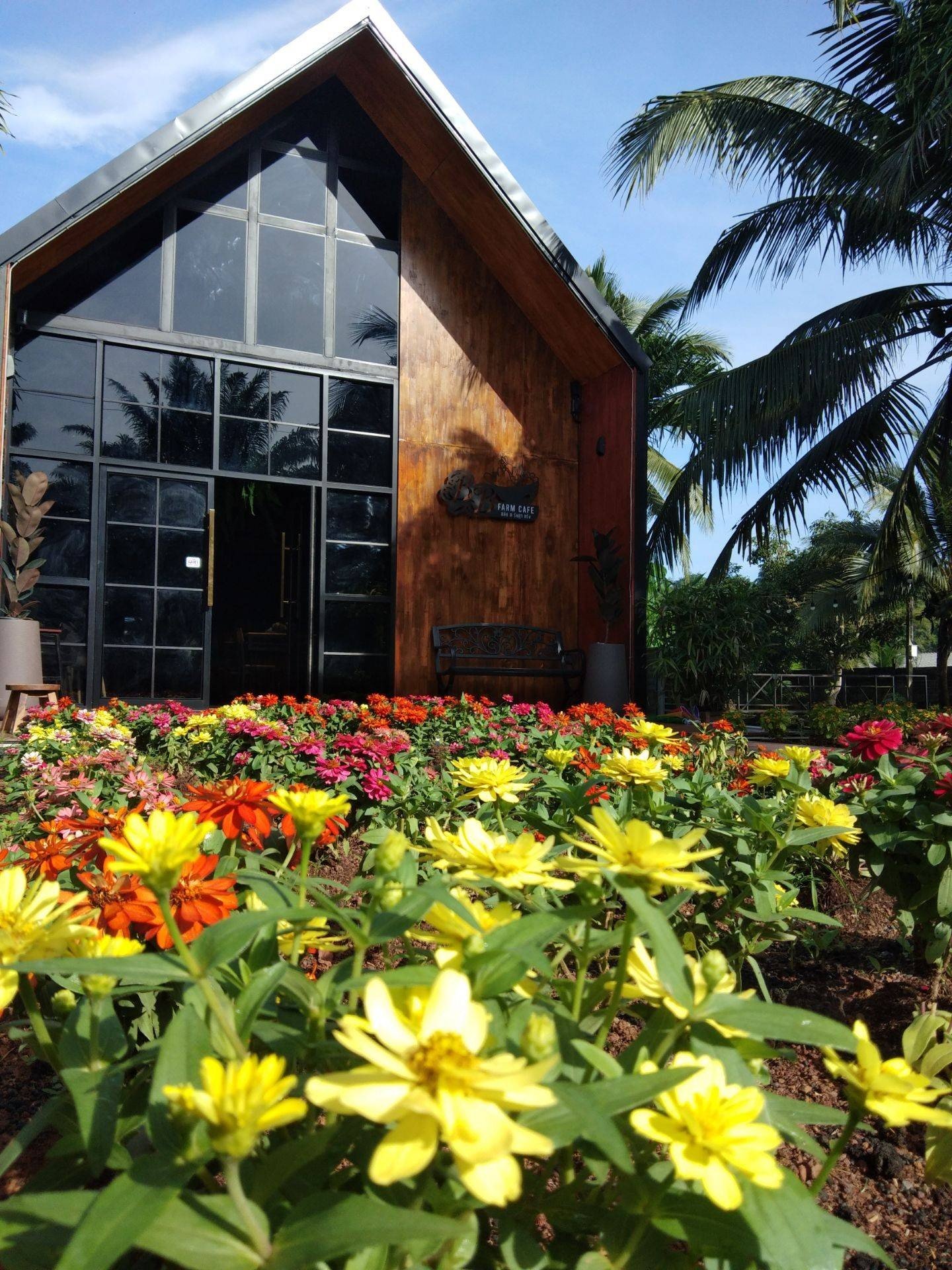 รูป บีบี ฟาร์ม