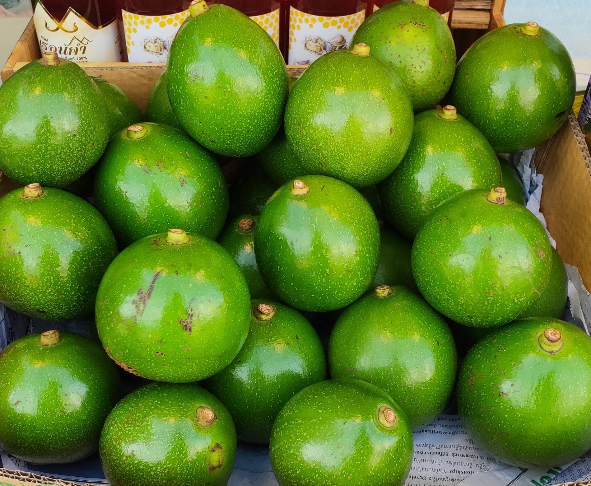 อะโวคาโดพันธุ์ปีเตอร์สัน 2-4 ลูก (น้ำหนักประมาณ 800-850 กรัม) • image ...