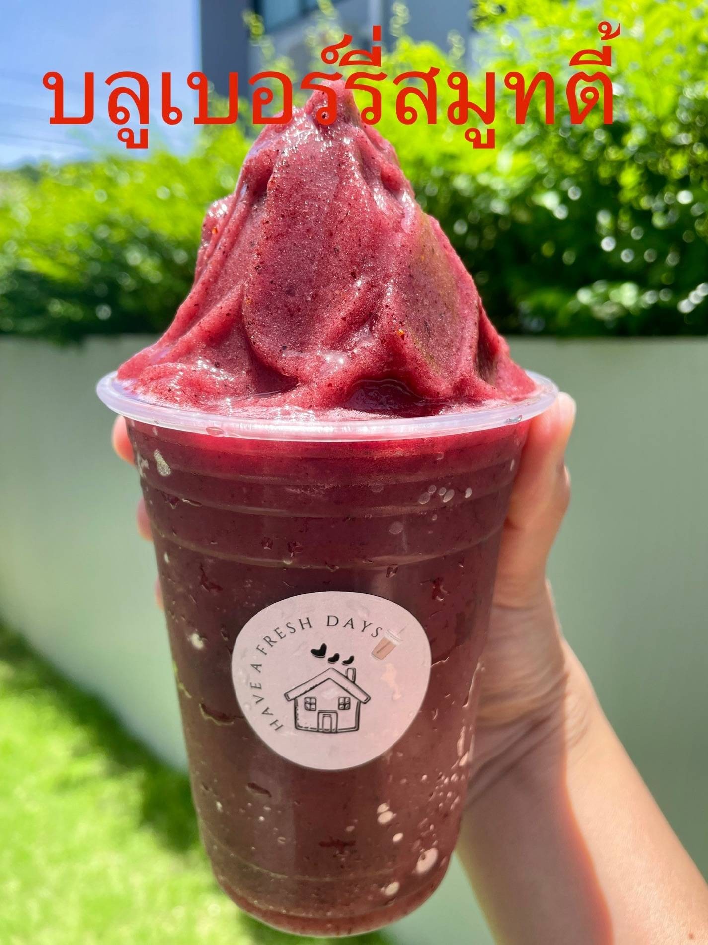 ร้าน Have a fresh days น้ำผลไม้ปั่นสมูทตี้ | รีวิวร้านอาหาร