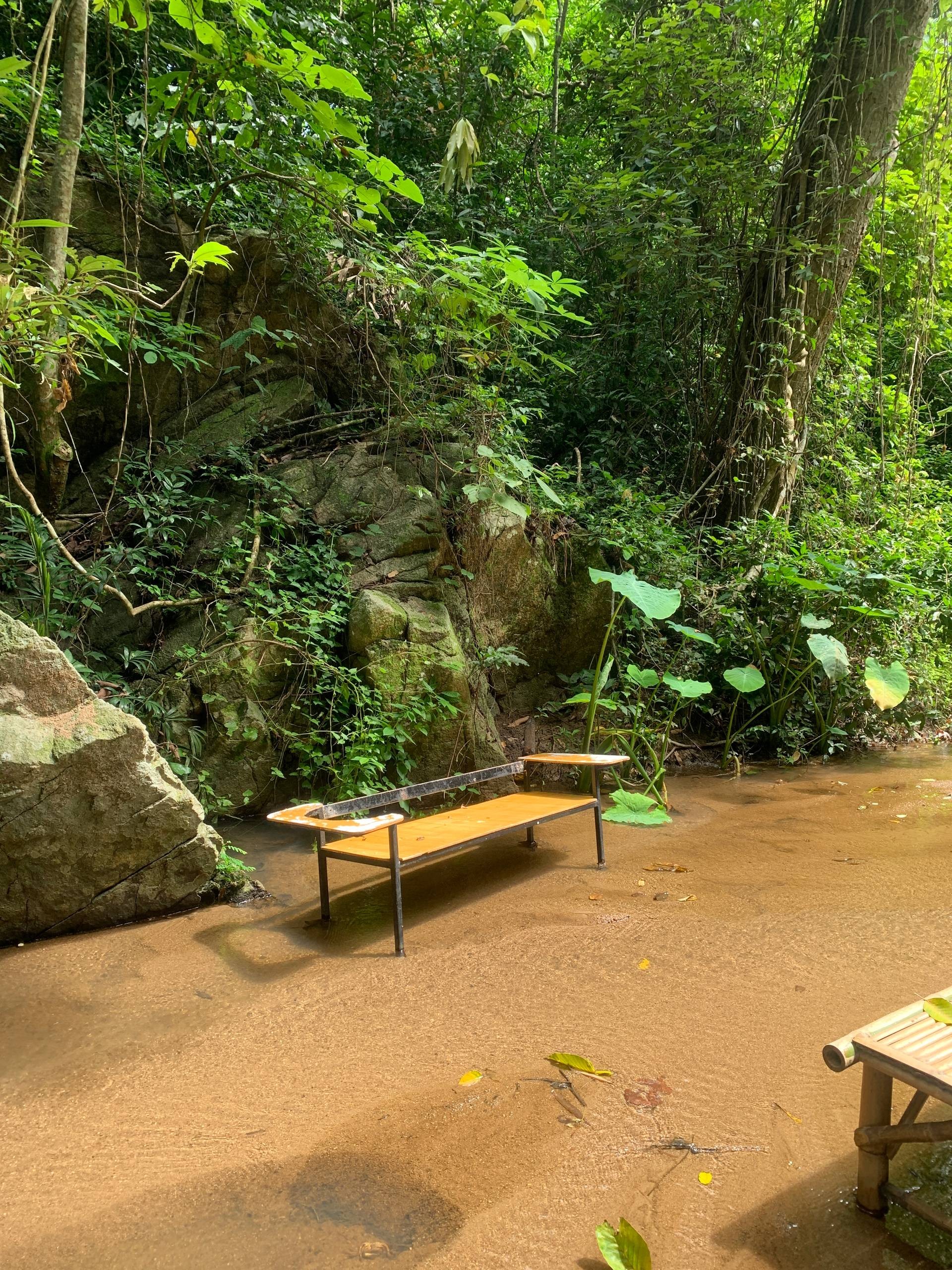 รูป The Hidden Falls ในสวนลับ