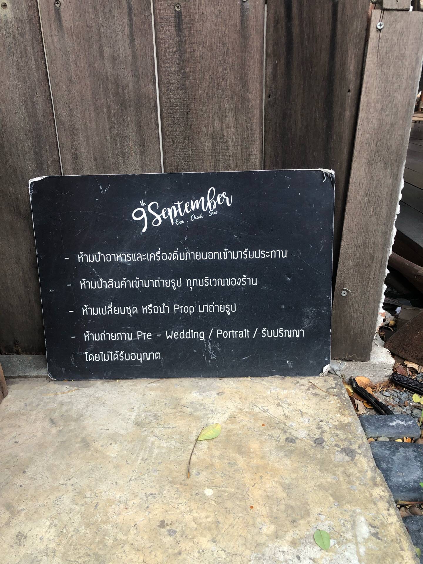 รีวิว 9th September Eat Drink Tree - ร้านสวยในหลืบ