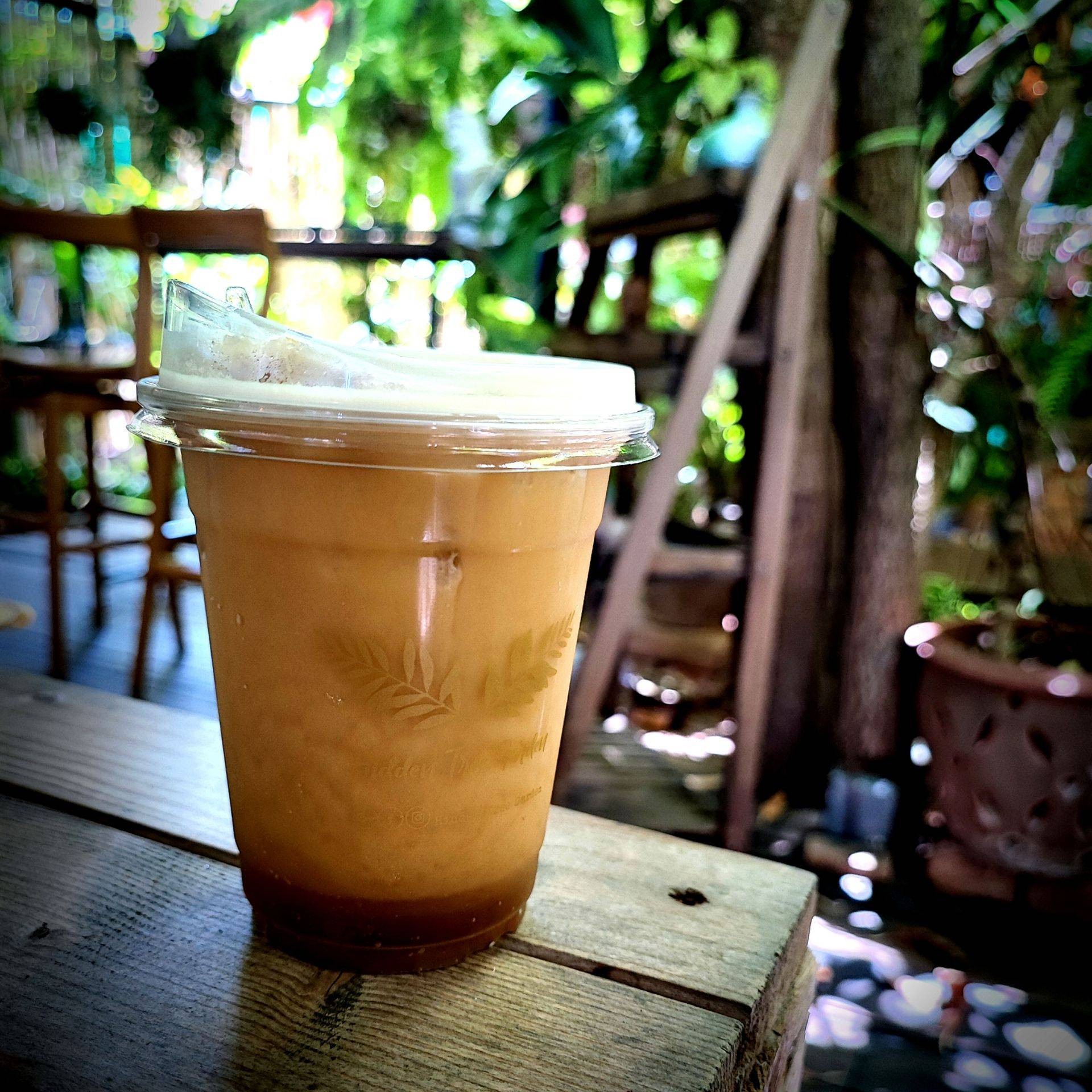 Nitro Cold Brew เก๊กฮวย ร้าน Hidden Tree Garden Specialty Coffee