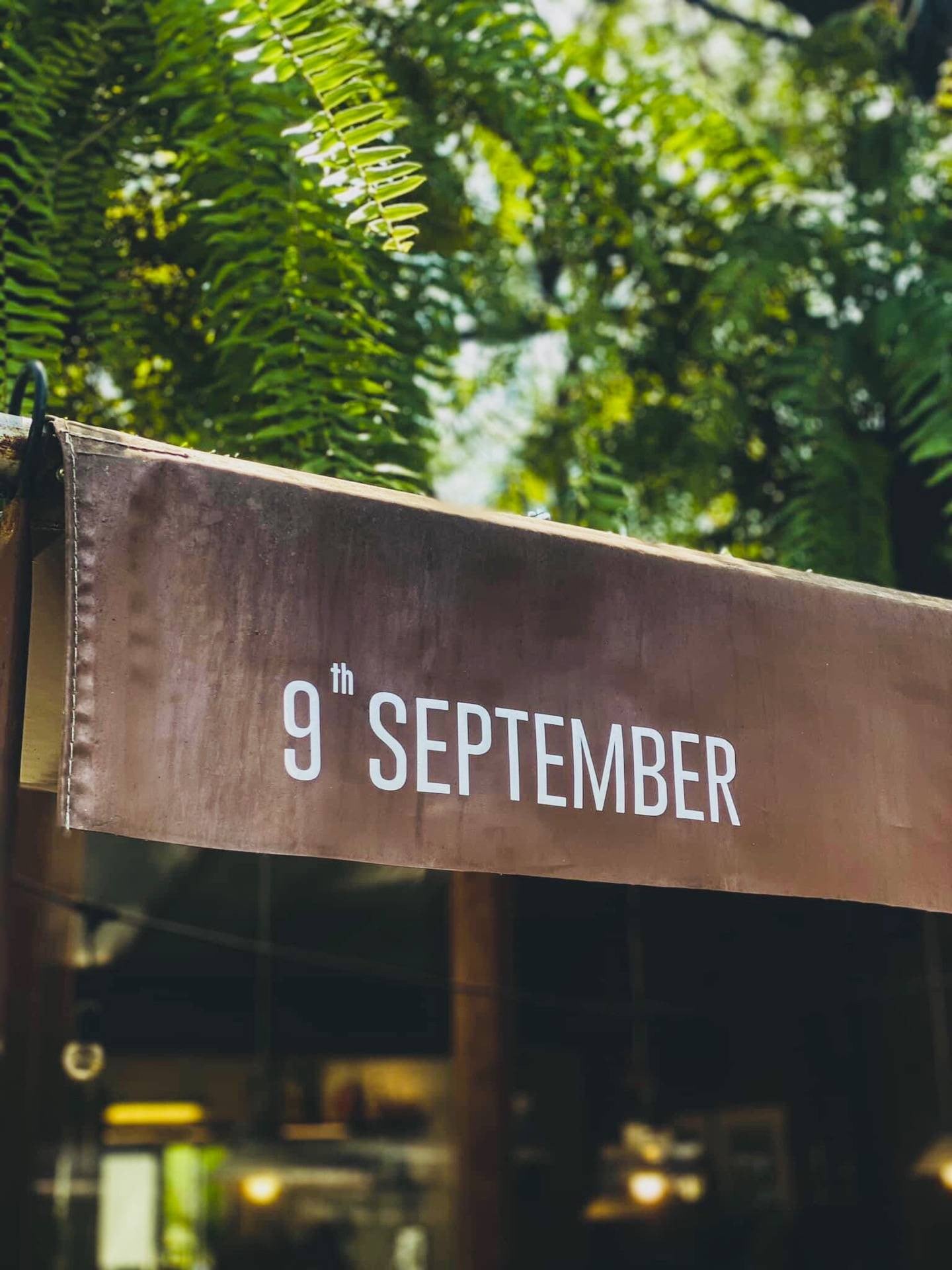 รูป 9th September Eat Drink Tree
