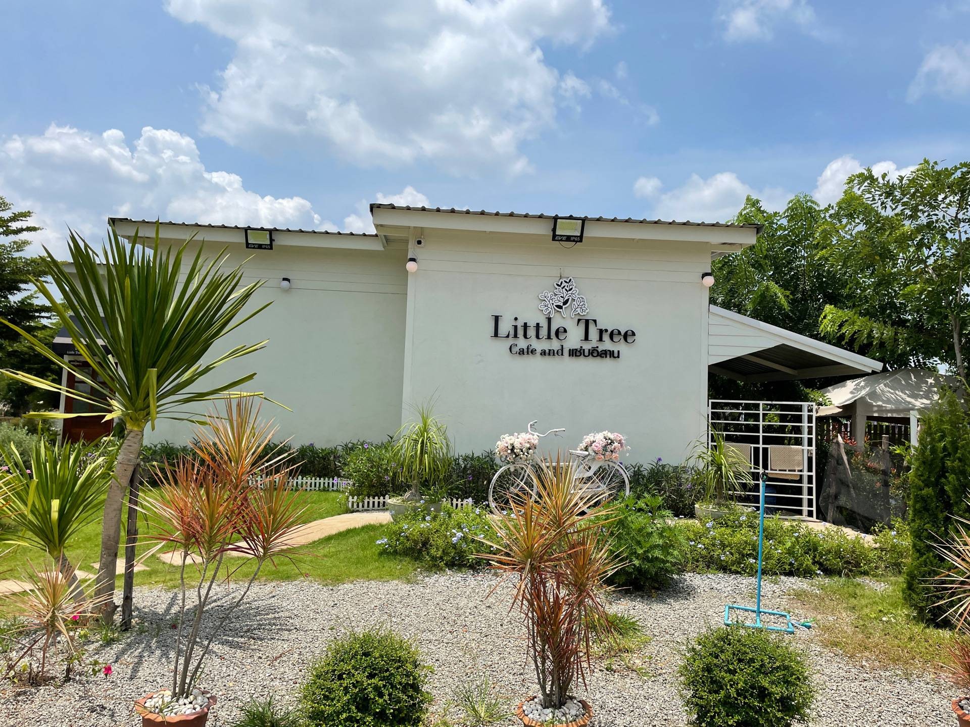 รีวิว Little Tree Cafe - ร้านเข้าไปลึกอยู่