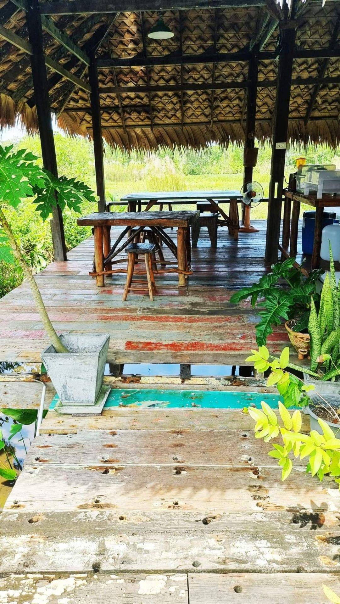 รูป บ้านในพรุ - House In The Swamp - Wongnai