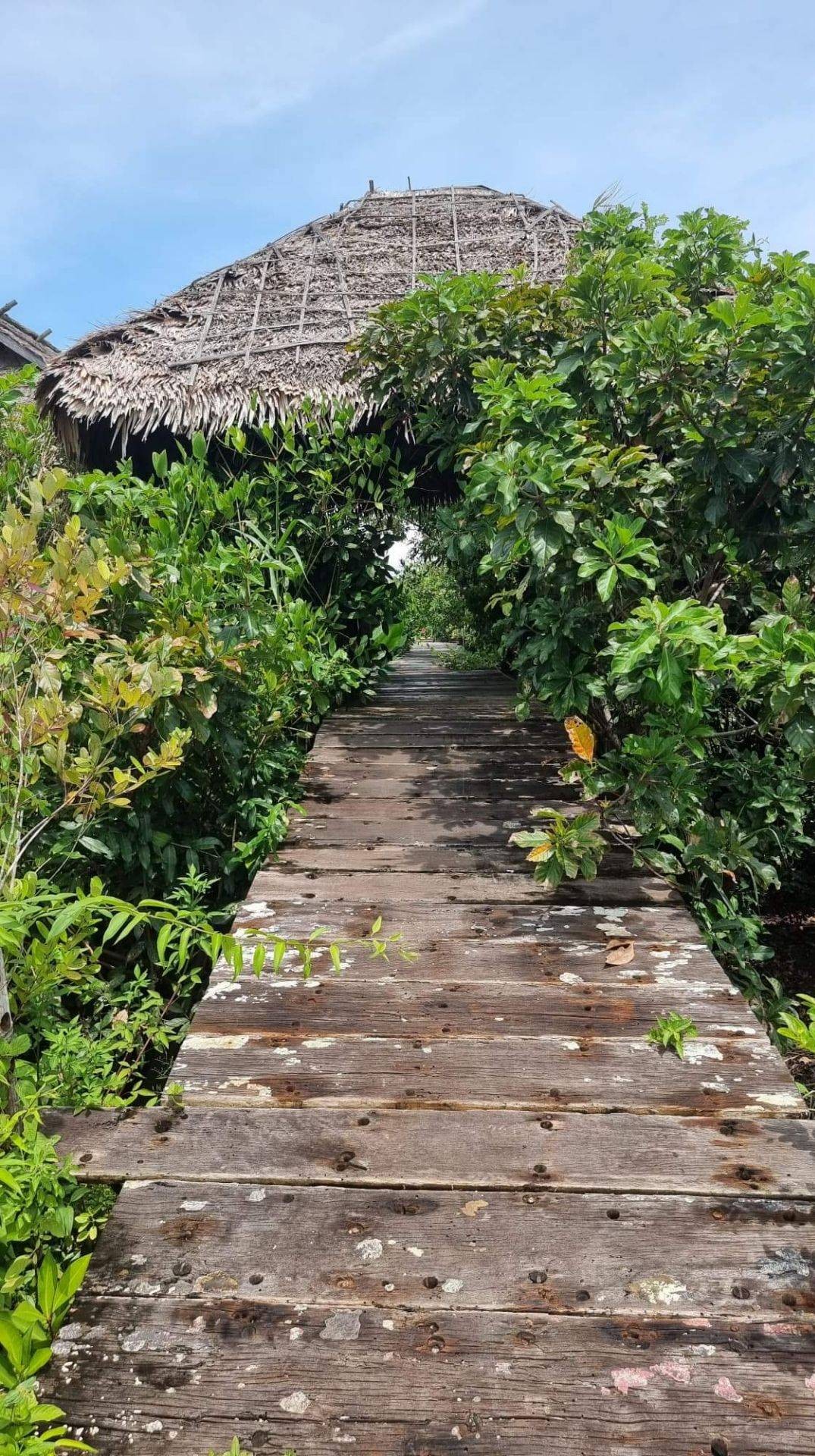 บ้านในพรุ - House In The Swamp - รีวิวที่พัก - Wongnai