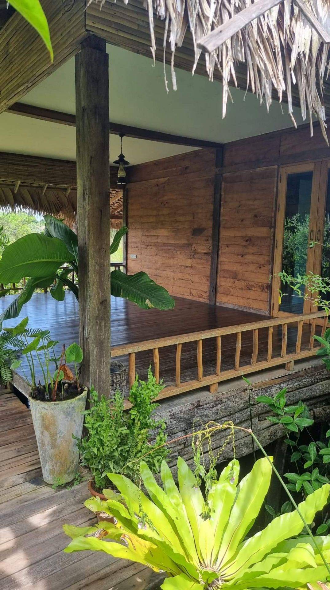 รูป บ้านในพรุ - House In The Swamp - Wongnai