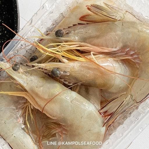 ร้าน Kampol Seafood (กำพลซีฟู้ด) ศรีนครินทร์