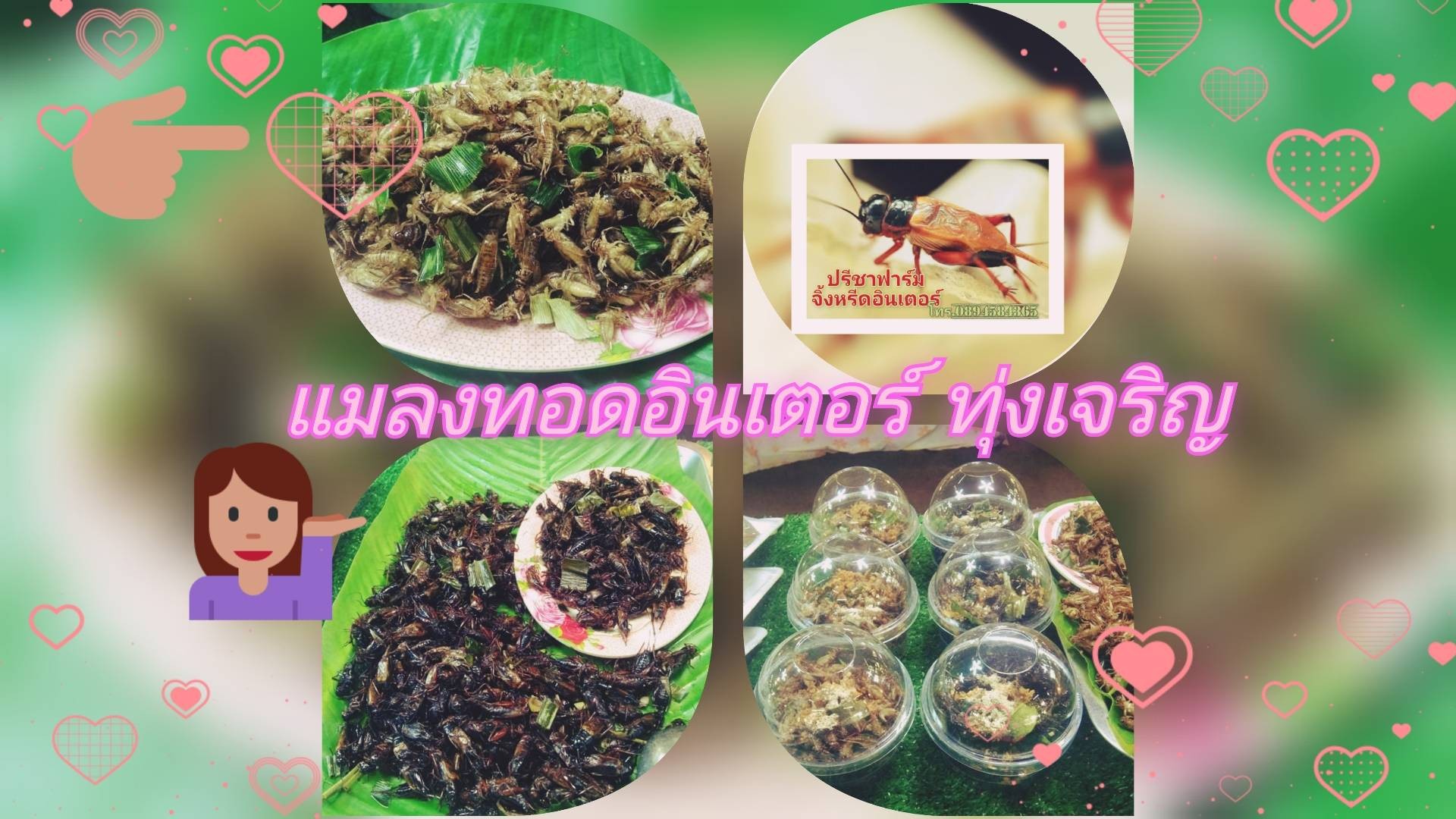 แมลงทอดทรงเครื่อ ทุ่งเจริญ. | สั่งอาหารออนไลน์ล่วงหน้า รับที่ร้านผ่านแอป Wongnai | Wongnai x ...