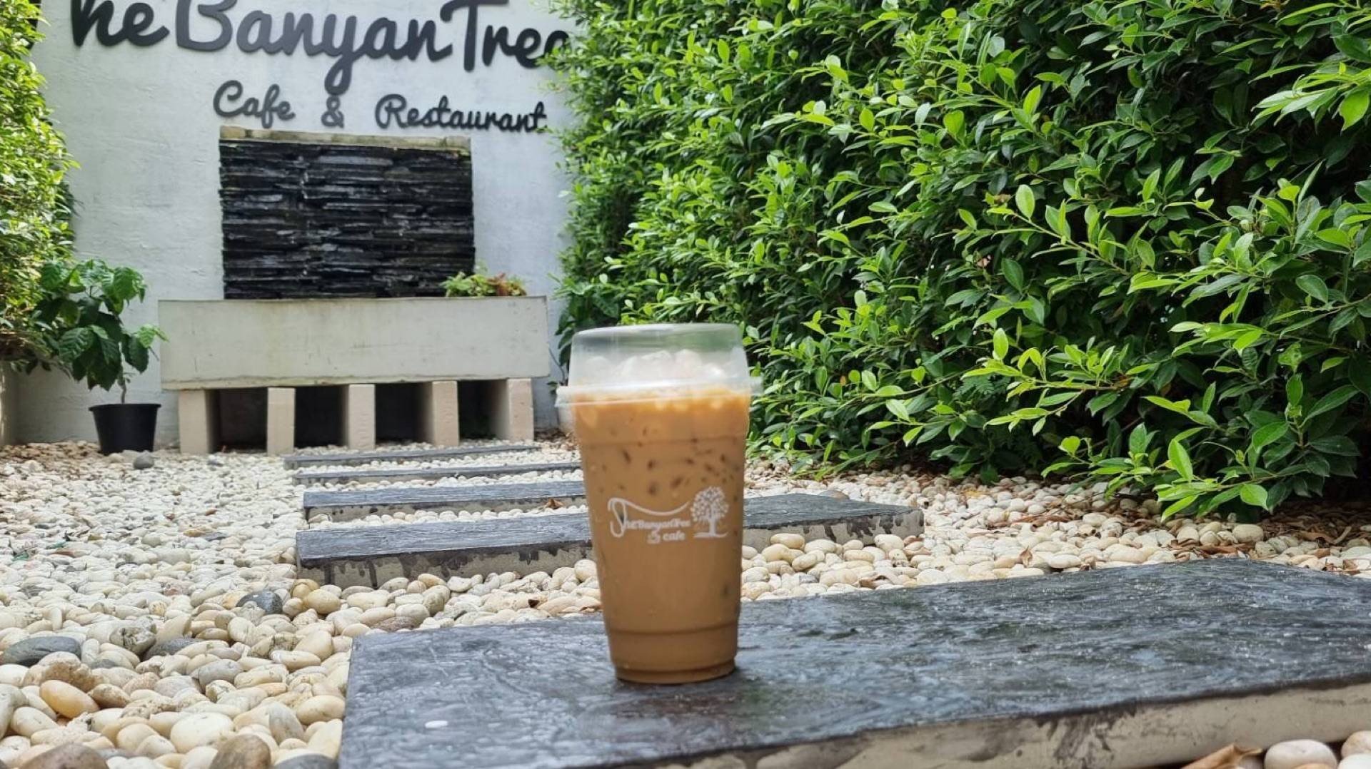 The banyan tree cafe - สั่งอาหารเดลิเวอรี | Wongnai x LINE MAN