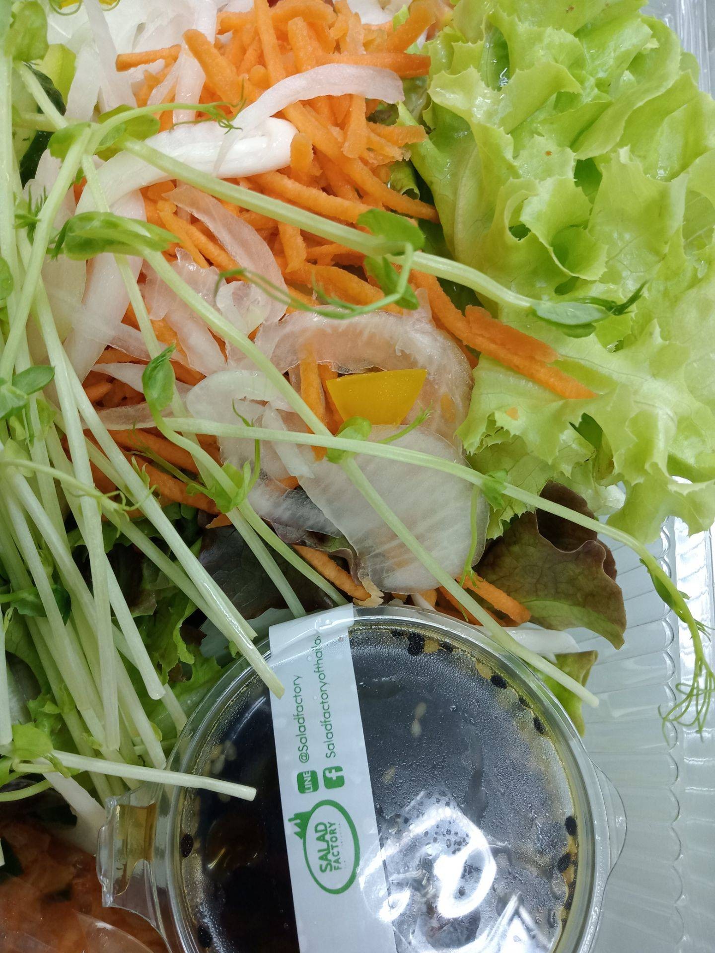 รูป Salad Factory เมืองทองธานี - Wongnai