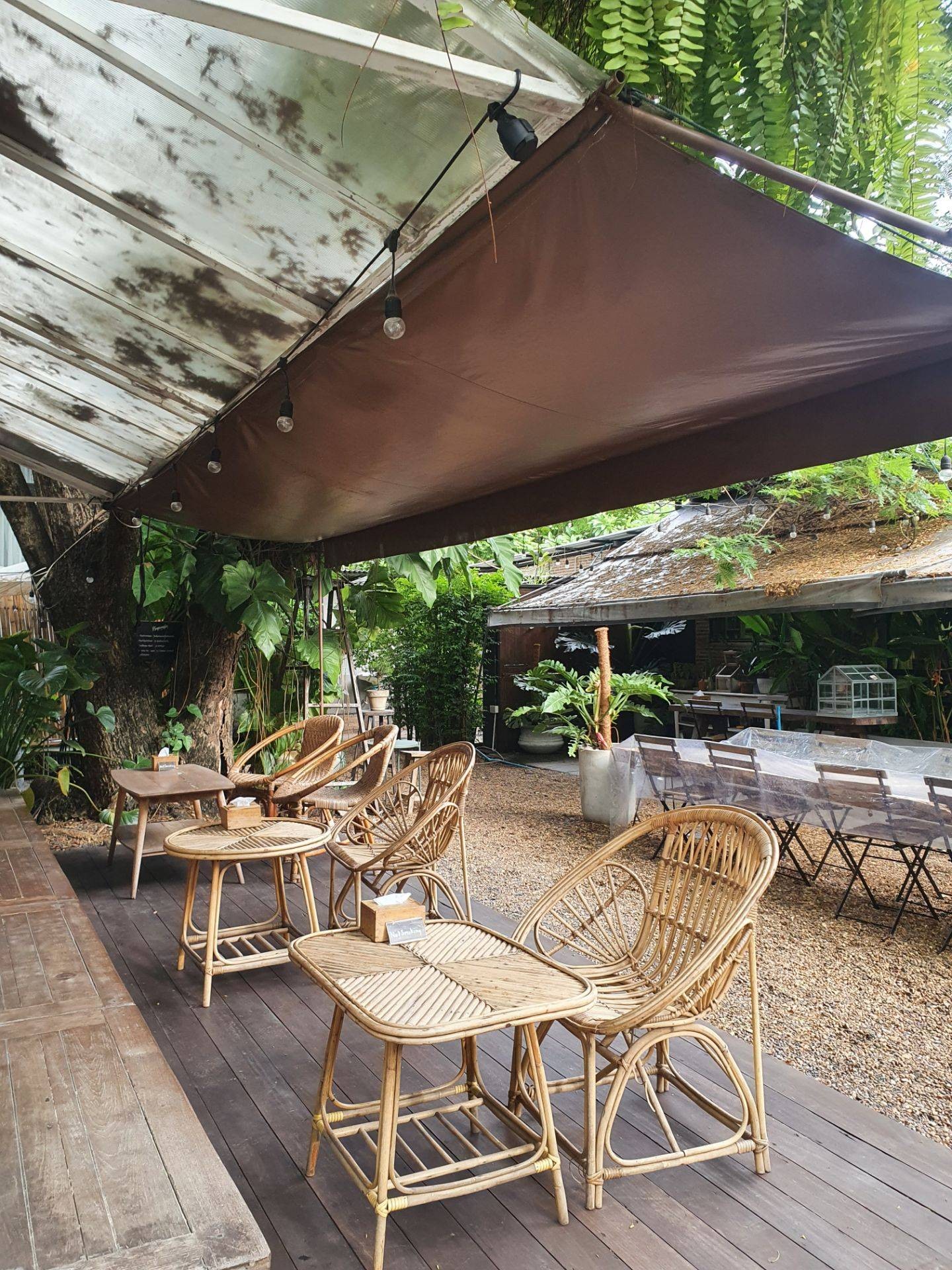 รูป 9th September Eat Drink Tree
