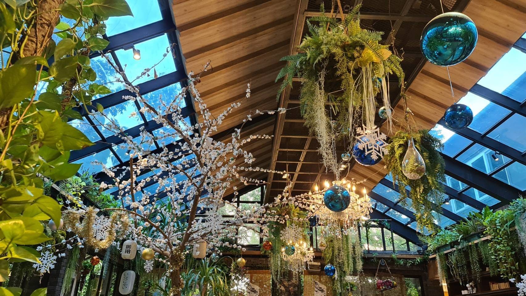 รีวิว PATA PLANTATION - หรูหราไม่แพ้ร้านใดย่านนี้