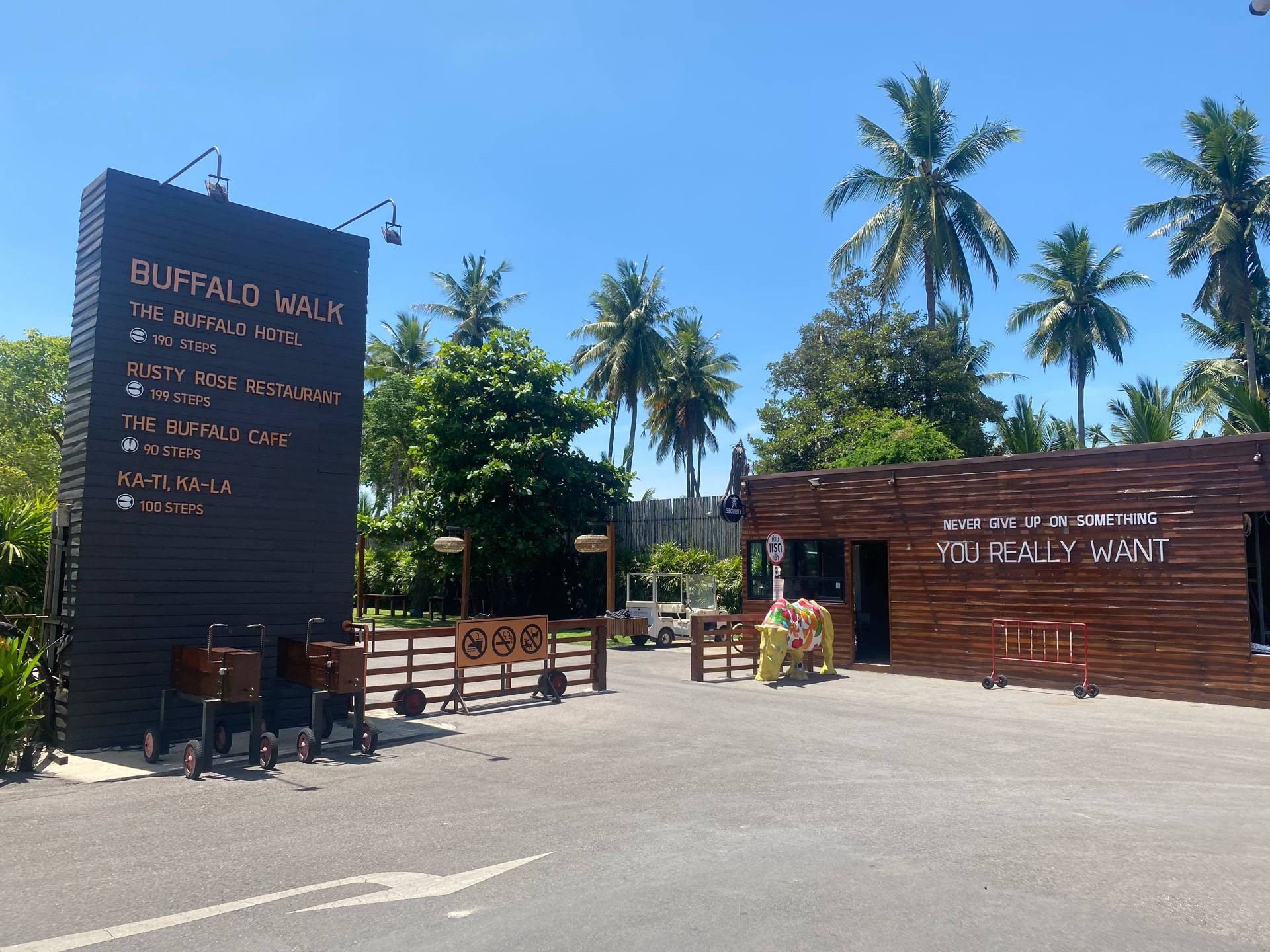 รีวิว The Buffalo Cafe' - คาเฟ่น้องควาย ติดแม่น้ำแถวอัมพวาบรรยากาศดีเวอร์