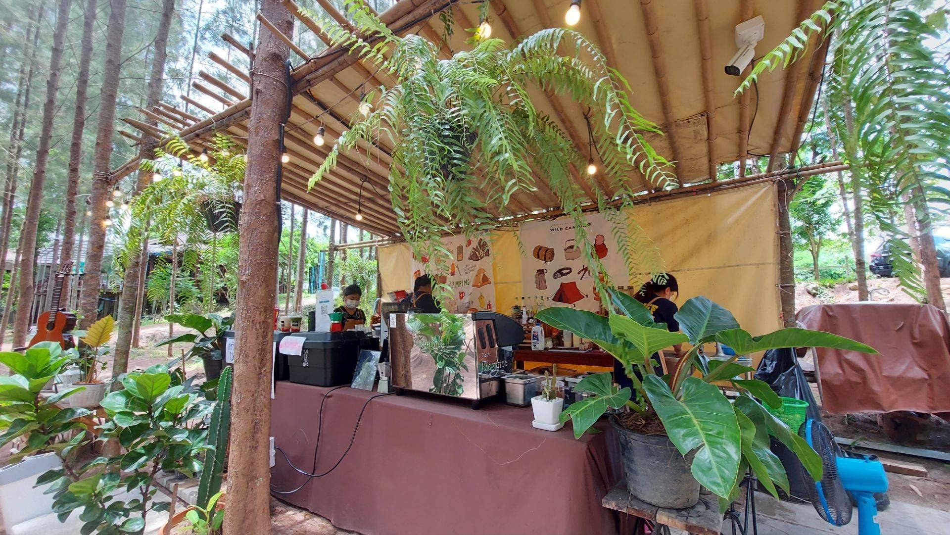 รูป Phupha Coffee Camp บ้านคา ราชบุรี